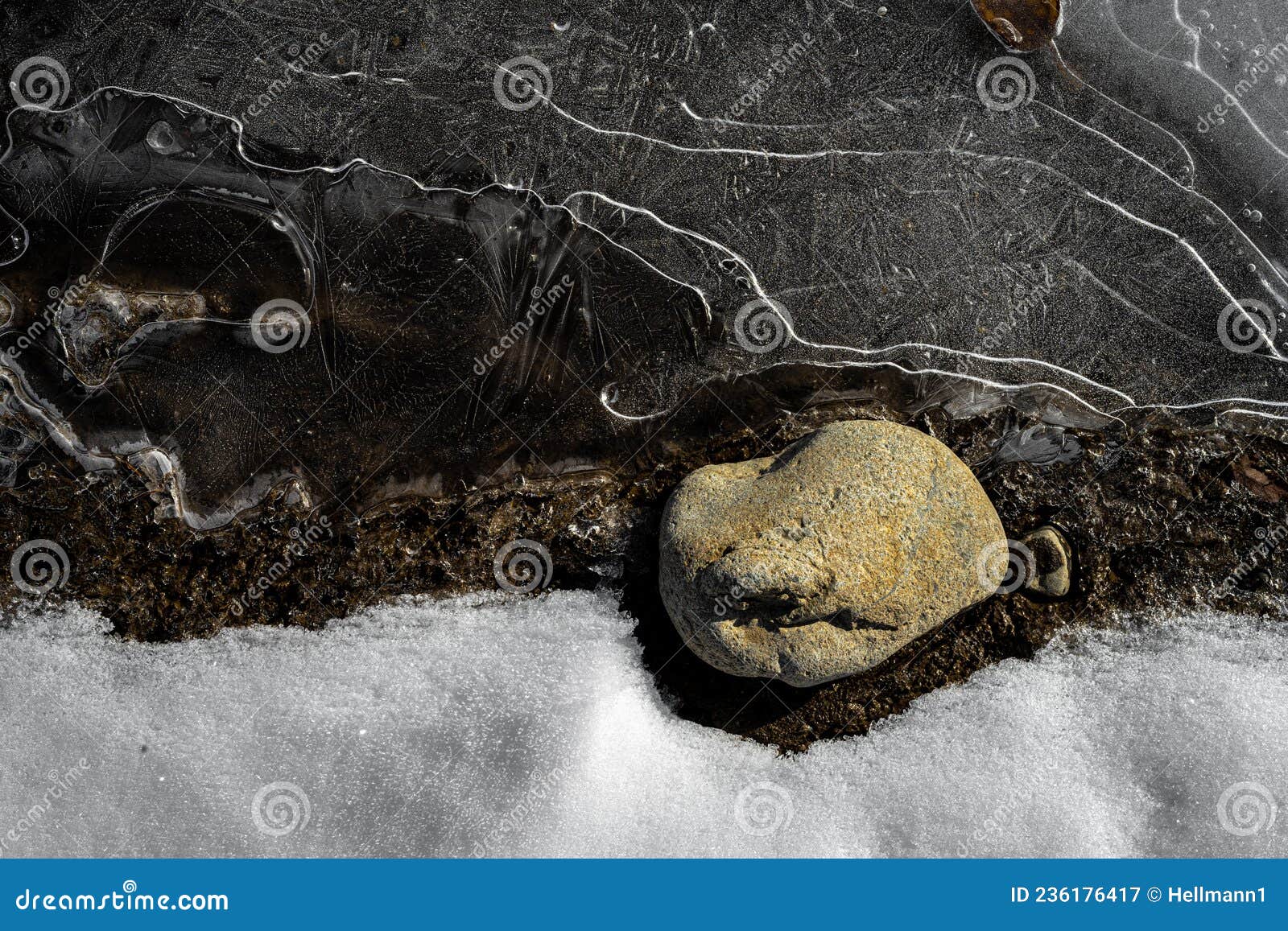 Frozen Puddle stock image. Image of cool, macro, frosted - 236176417