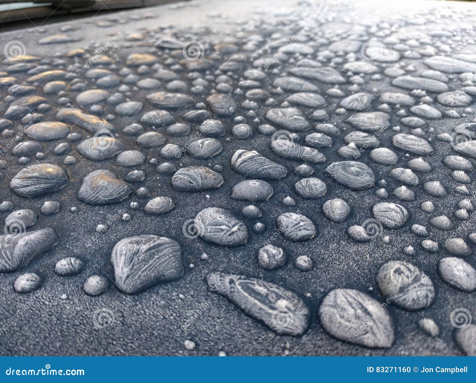 Frozen raindrops stock photo. Image of frost, raindrops - 83271160