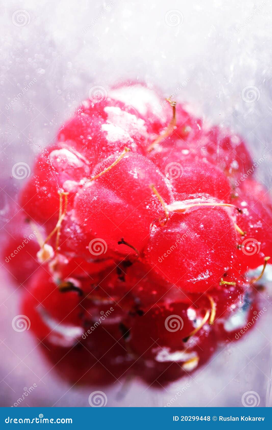 Frozen raspberry. stock photo. Image of cold, close, fruit - 20299448