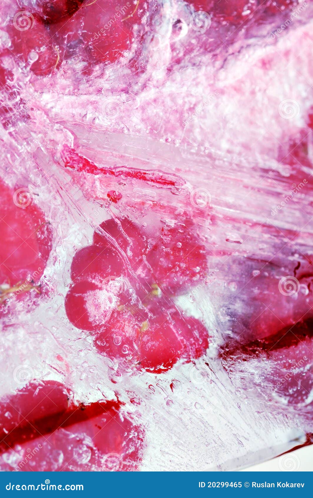 Frozen raspberry. stock image. Image of sweet, macro - 20299465