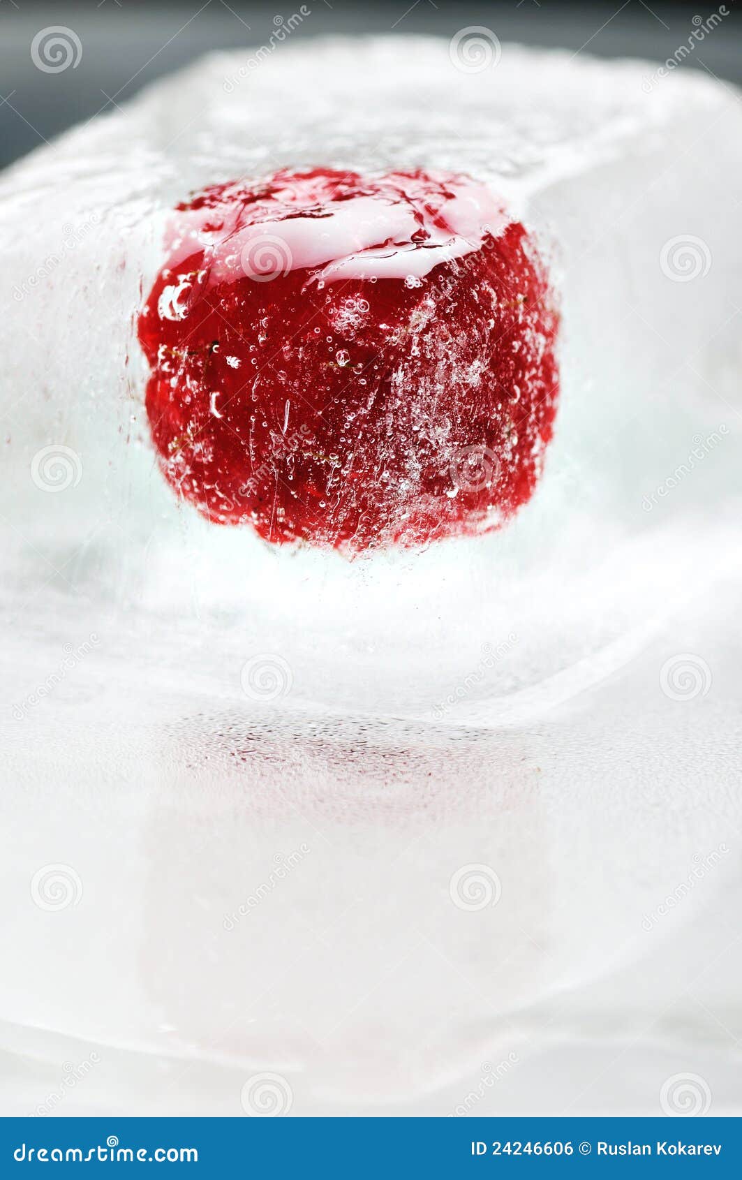 Frozen raspberry. stock photo. Image of white, berry - 24246606