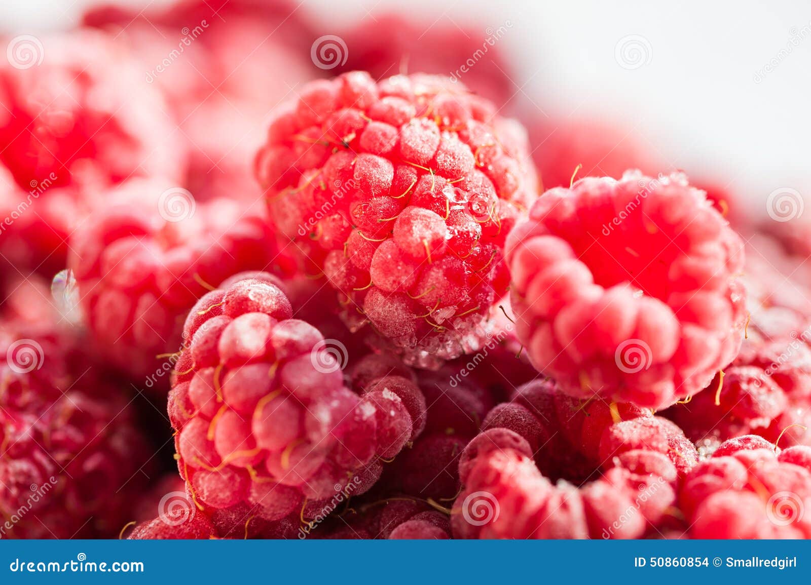 Frozen raspberry berries stock photo. Image of frozen - 50860854