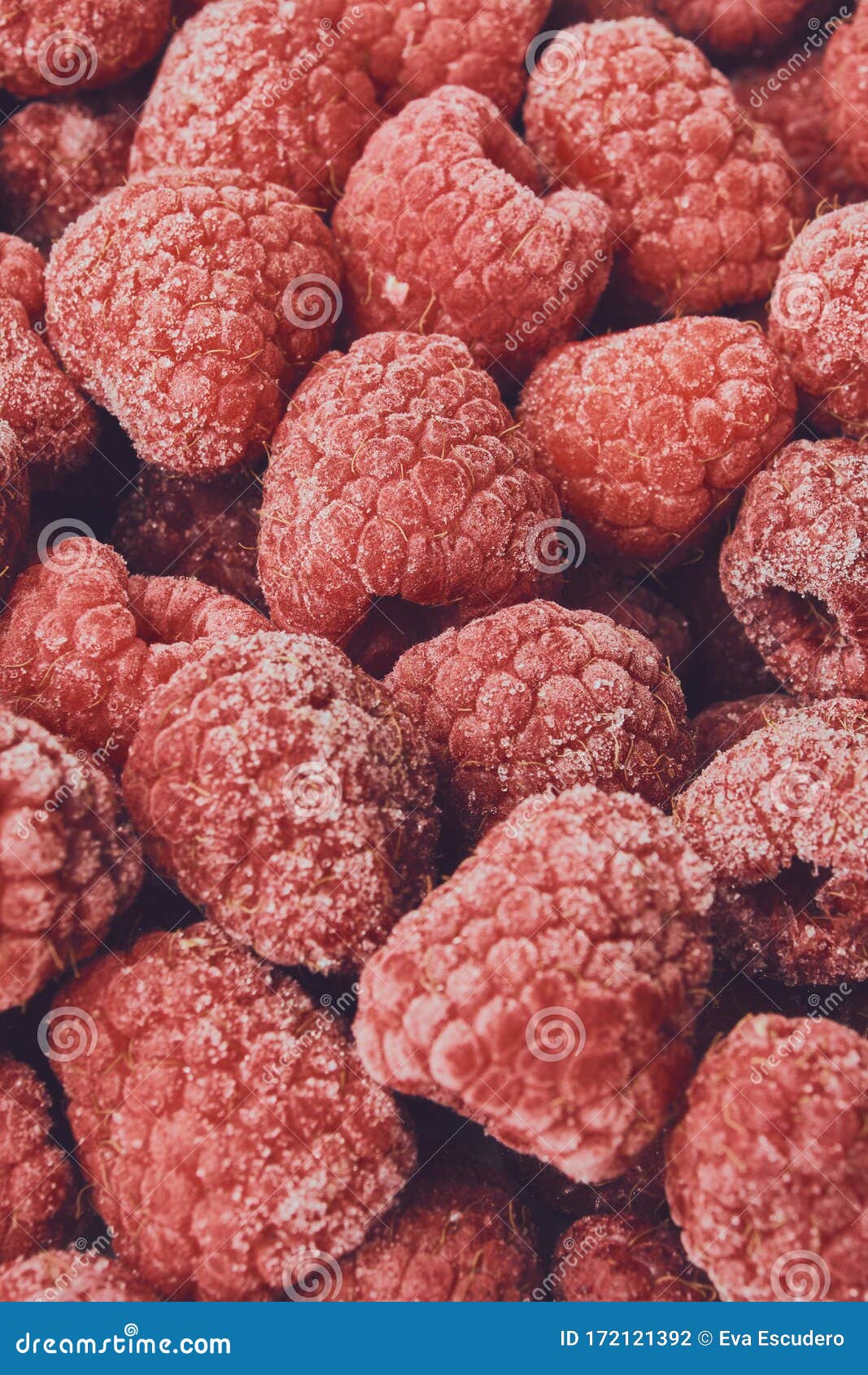 Frozen Raspberry, Macro Photography Stock Photo - Image of group ...