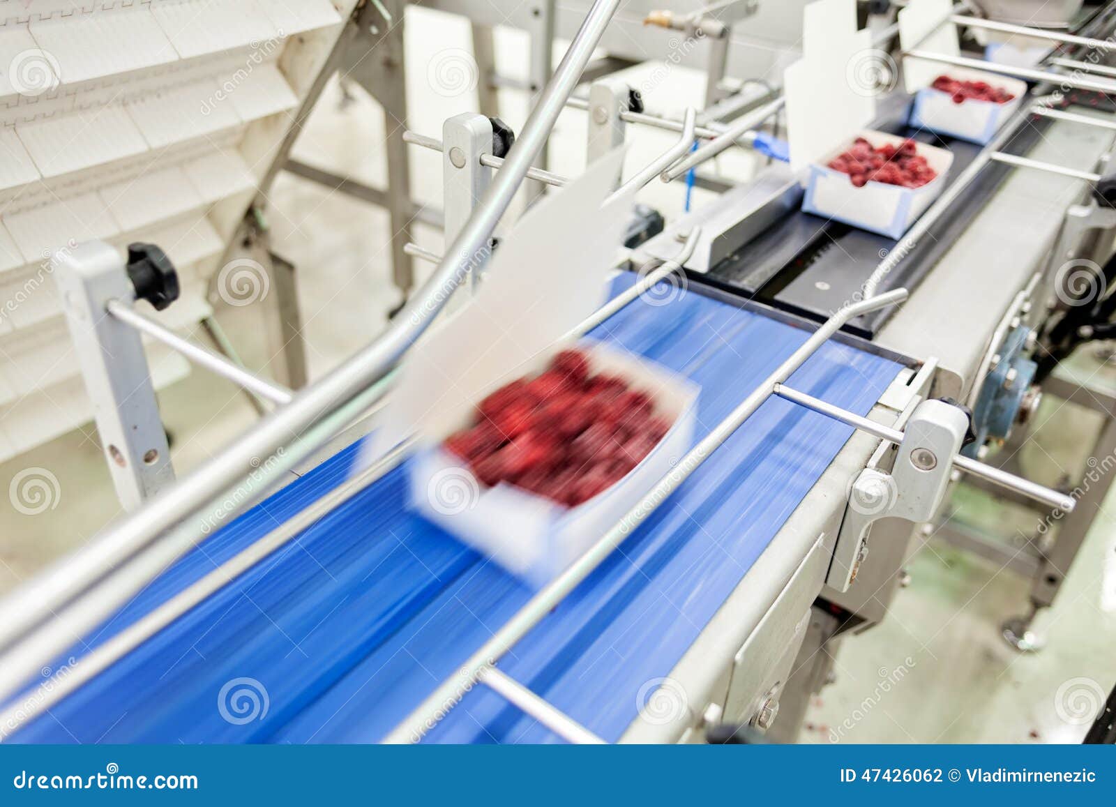 Frozen Raspberry Processing Business Stock Photo - Image of isolated ...