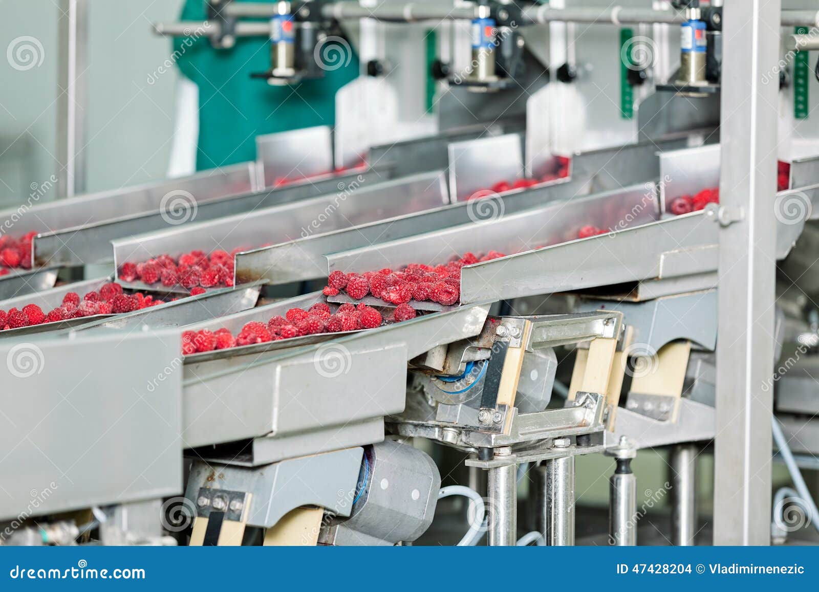 Frozen Raspberry Processing Business Stock Photo - Image of nature ...