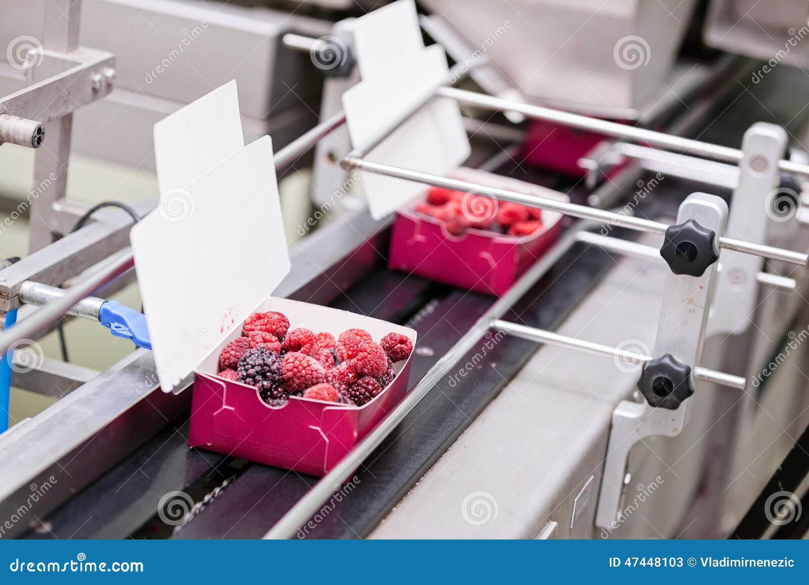 Frozen Raspberry Processing Business Stock Image - Image of organic ...