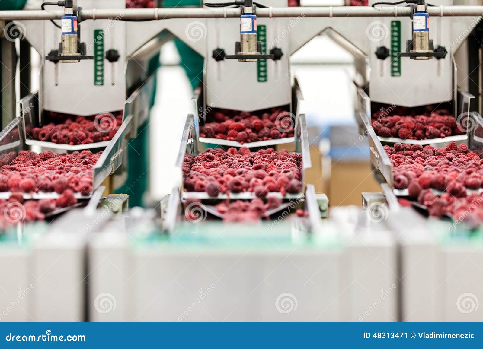 Frozen Raspberry Processing Business Stock Image - Image of freezer ...
