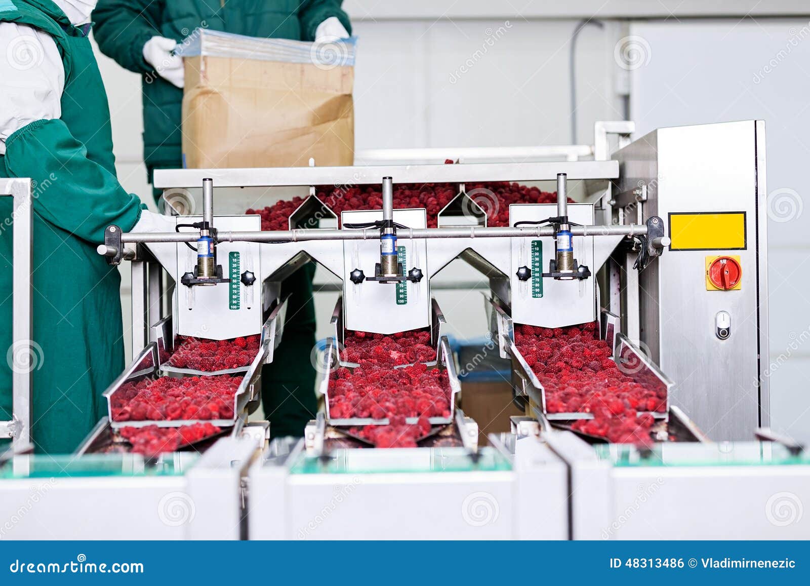 Frozen Raspberry Processing Business Stock Photo - Image of food ...