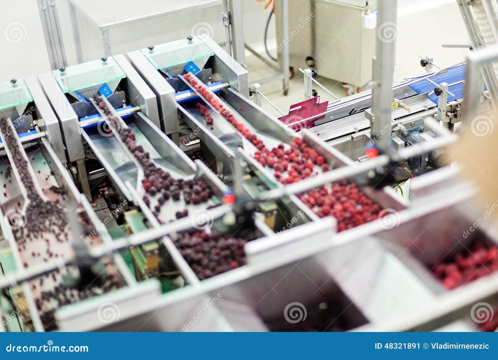 Frozen Raspberry Processing Business Stock Image - Image of organic ...