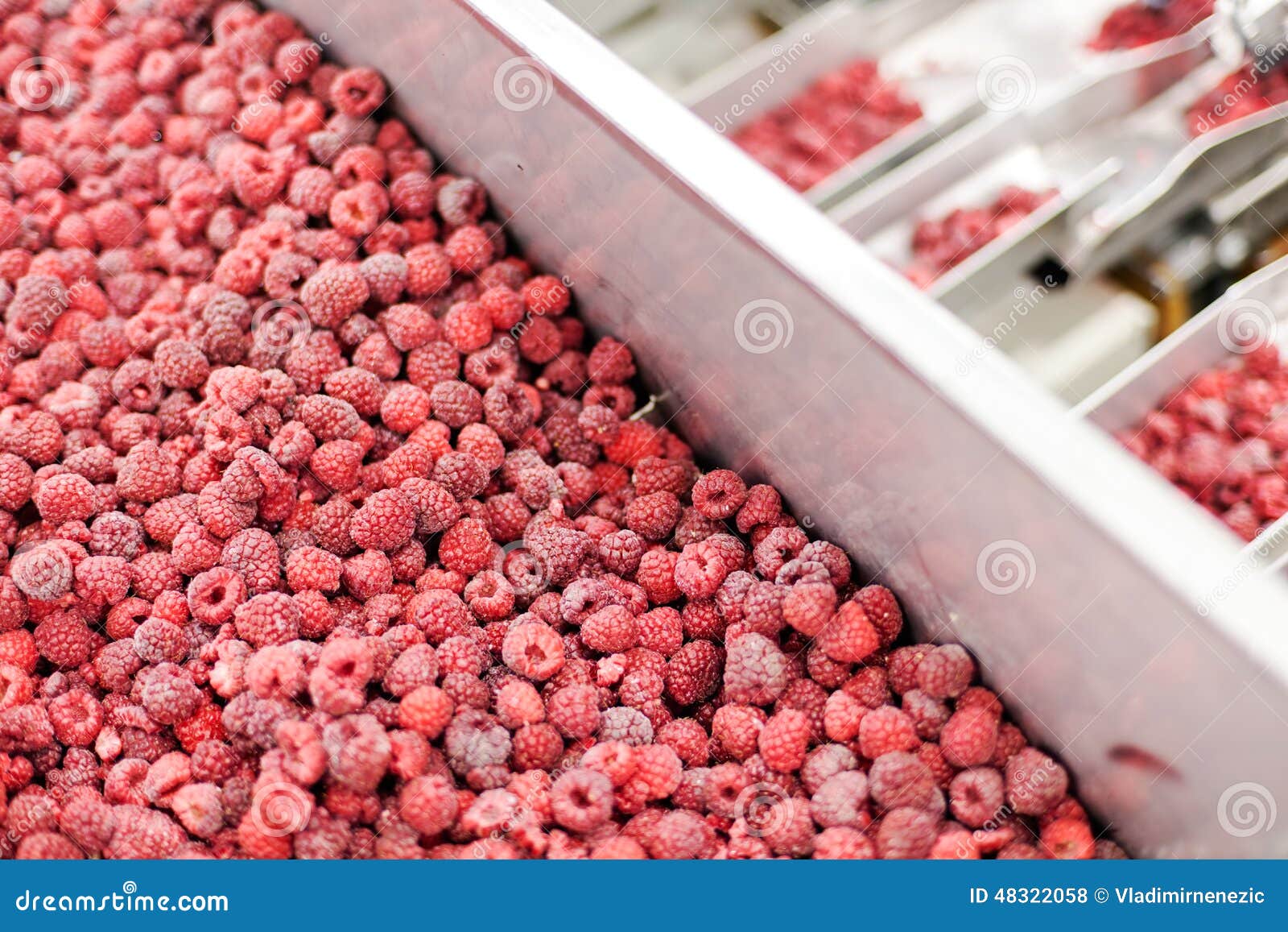 Frozen Raspberry Processing Business Stock Photo - Image of nature ...