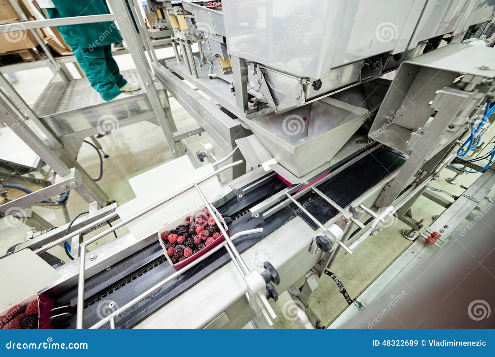 Frozen Raspberry Processing Business Stock Image - Image of packing ...