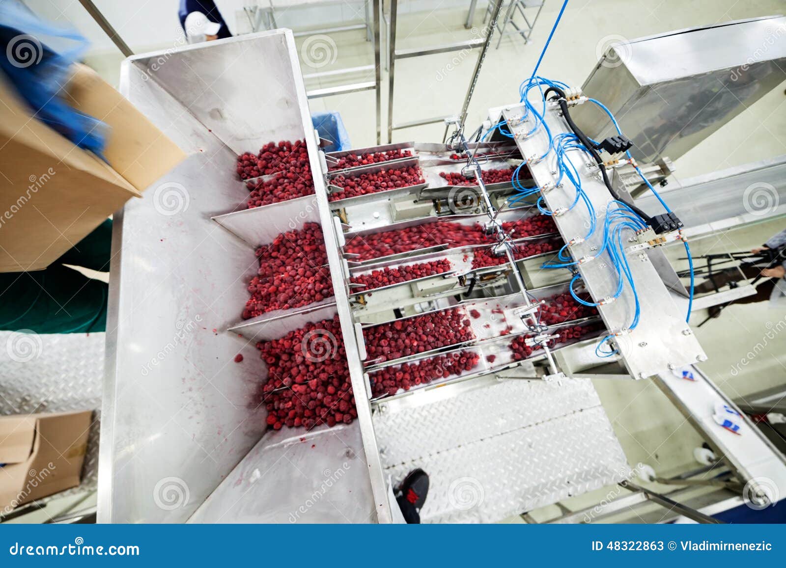 Frozen Raspberry Processing Business Stock Image - Image of healthy ...