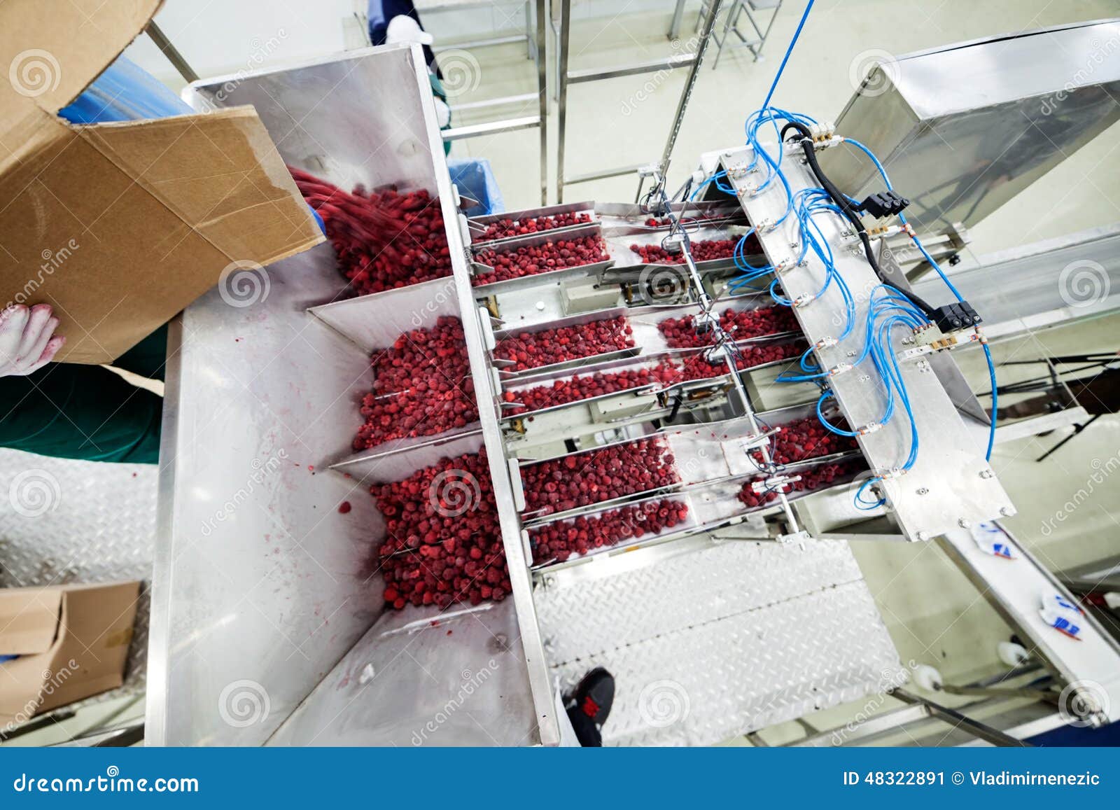 Frozen Raspberry Processing Business Stock Image - Image of freezer ...