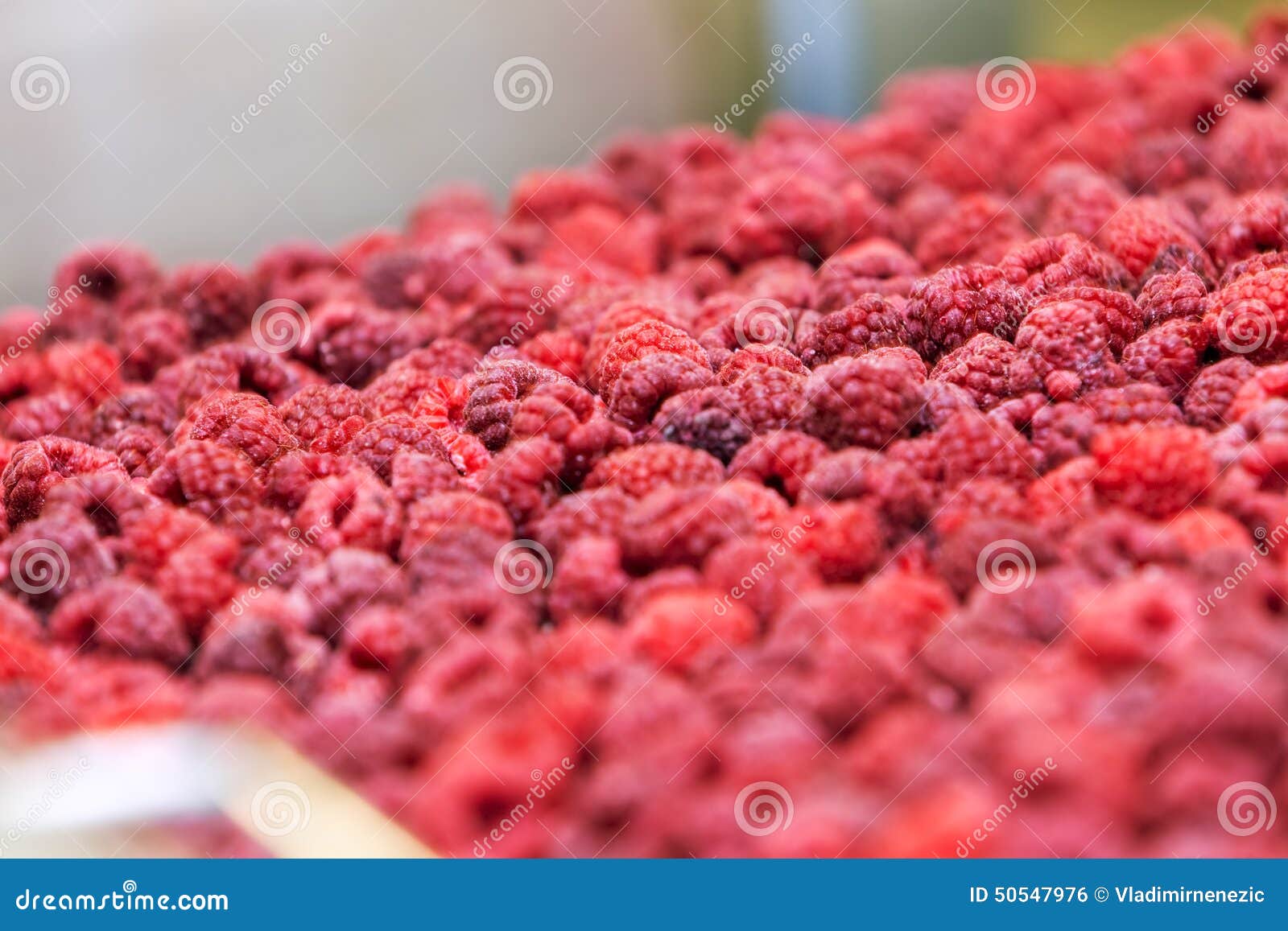 Frozen Raspberry Processing Business Stock Photo - Image of healthy ...
