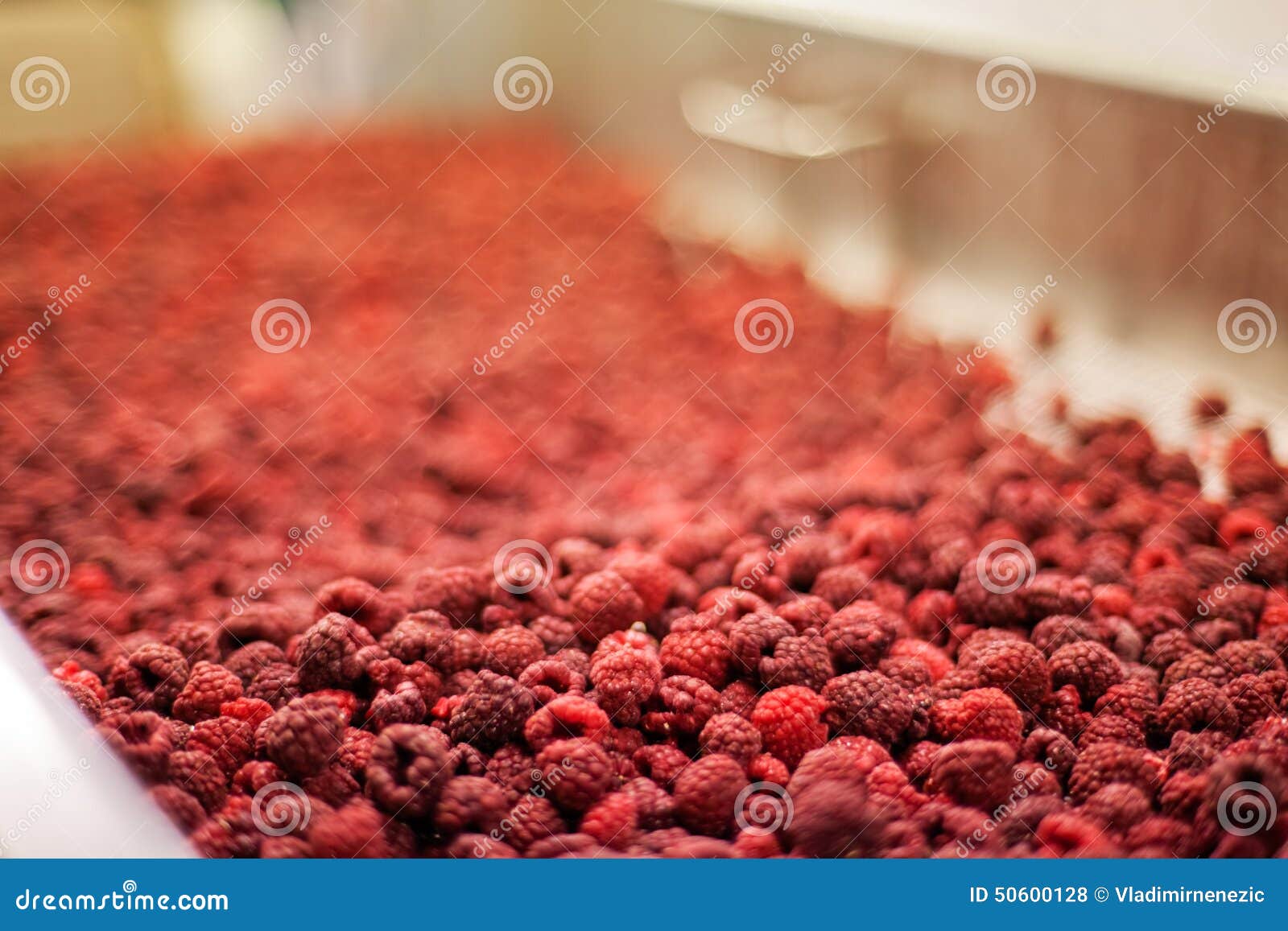 Frozen Raspberry Processing Business Stock Photo - Image of nature ...
