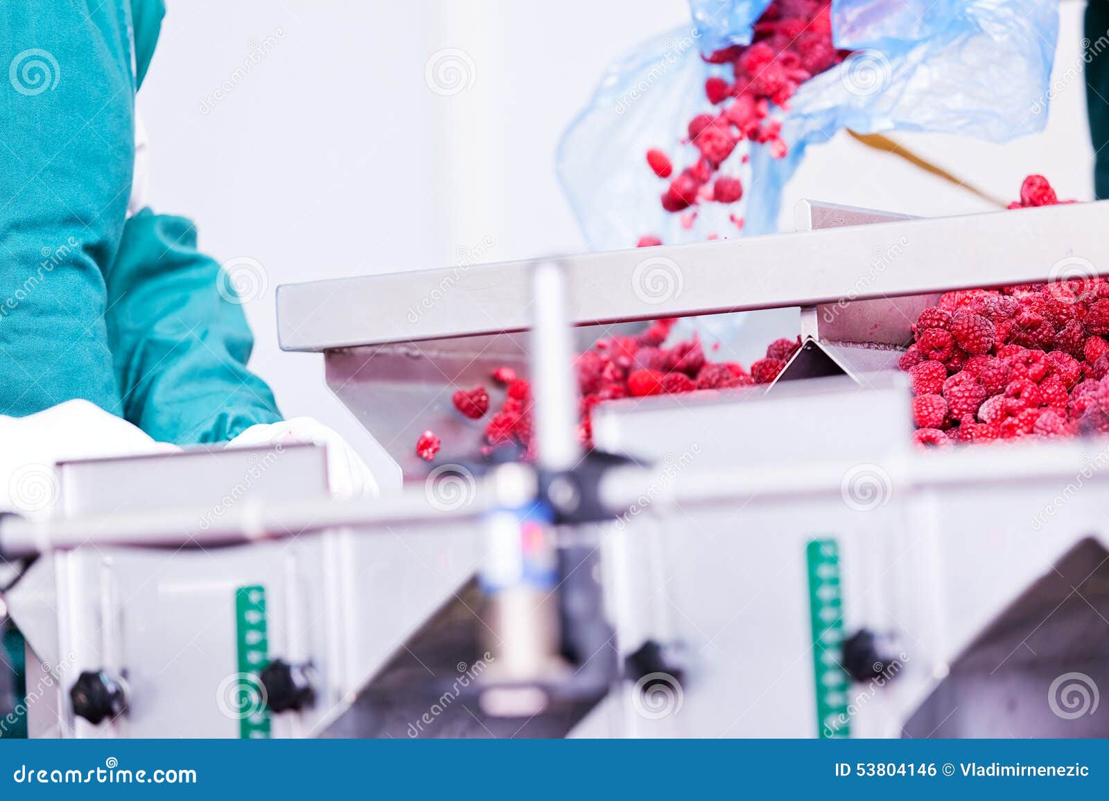Frozen Raspberry Processing Business Stock Photo - Image of nature ...