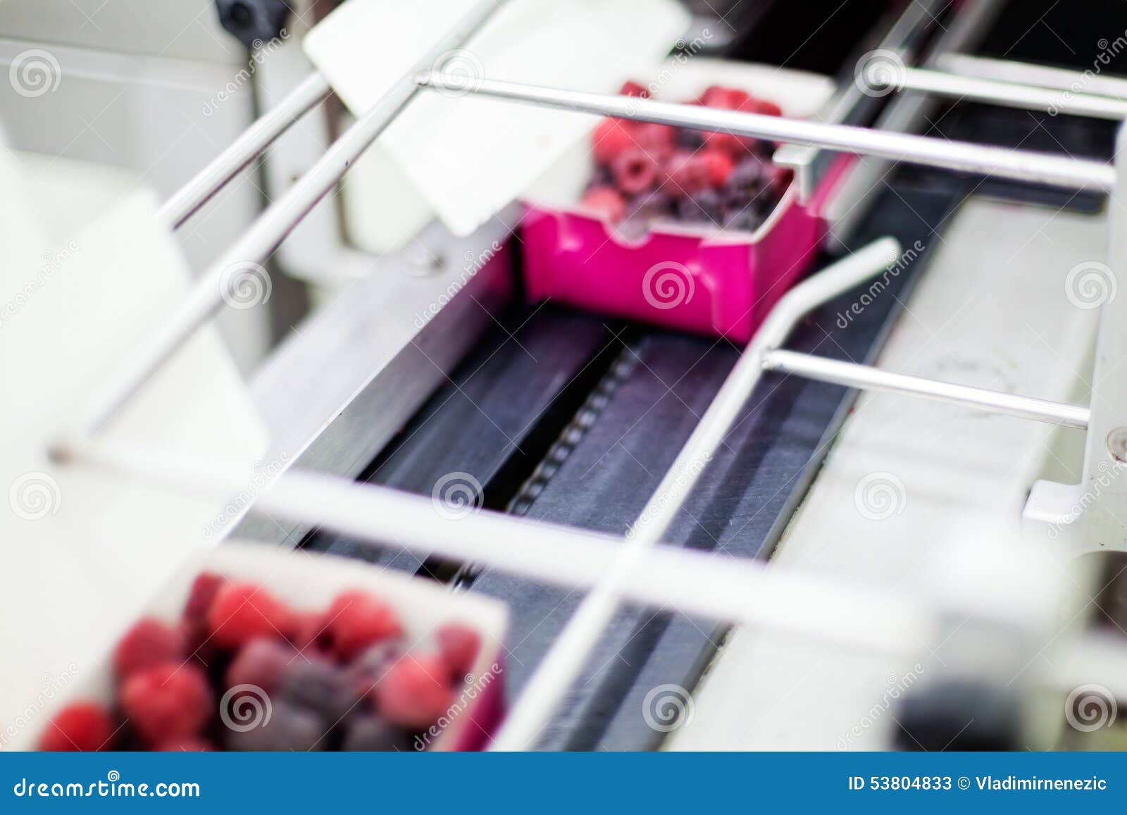 Frozen Raspberry Processing Business Stock Image - Image of frost ...