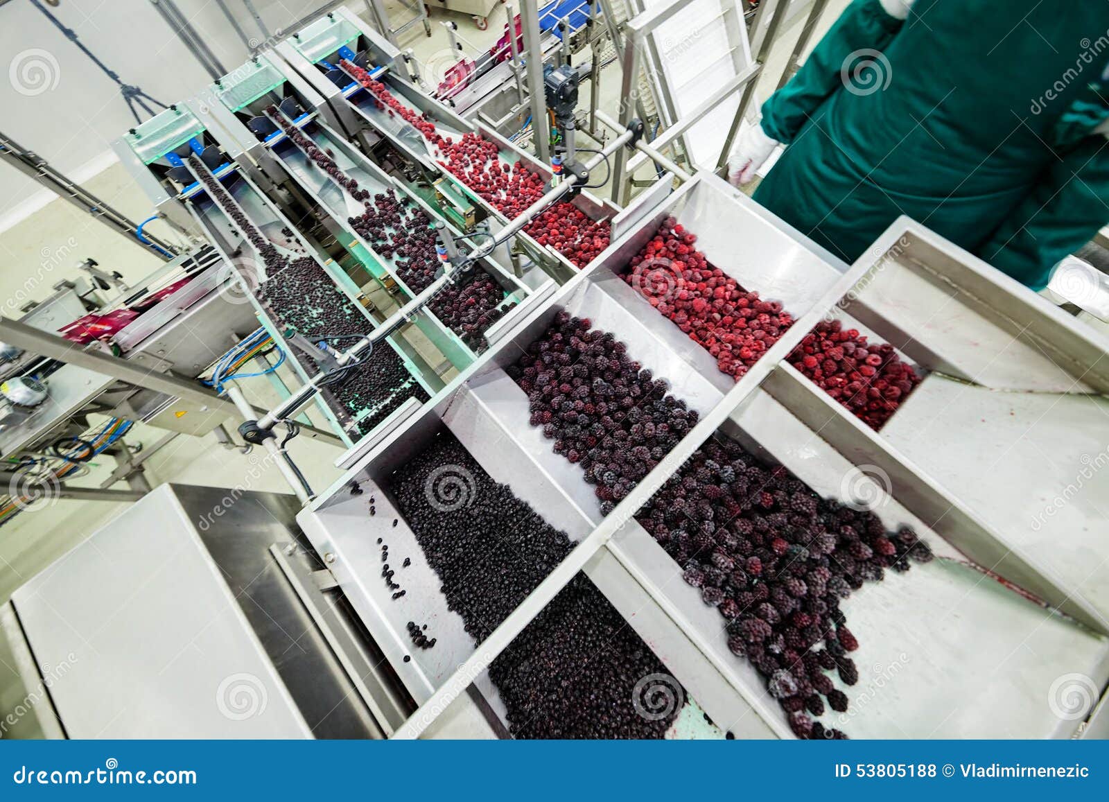 Frozen Raspberry Processing Business Stock Photo - Image of ...