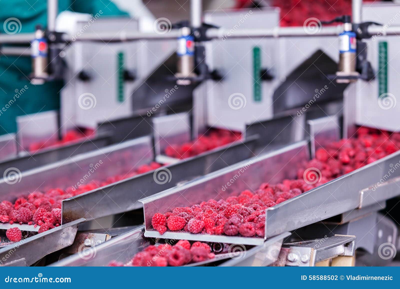 Frozen Raspberry Processing Business Stock Photo - Image of closeup ...