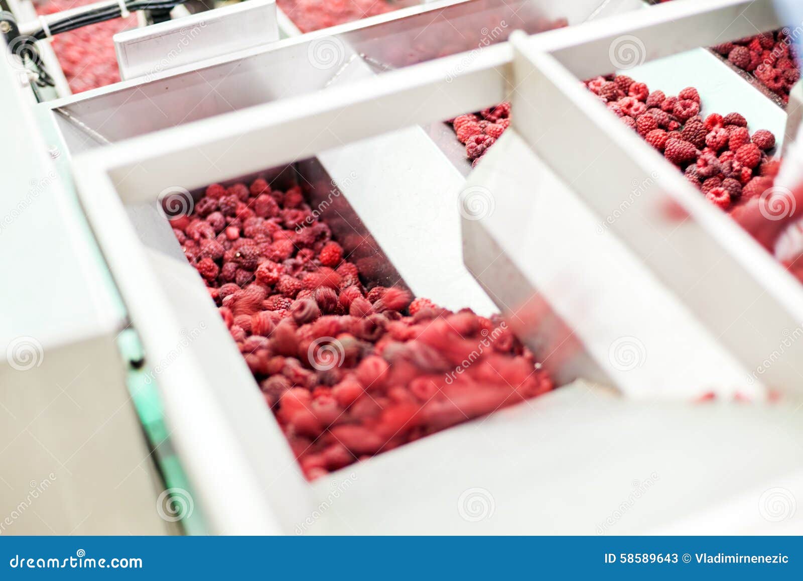 Frozen Raspberry Processing Business Stock Image - Image of freezer ...