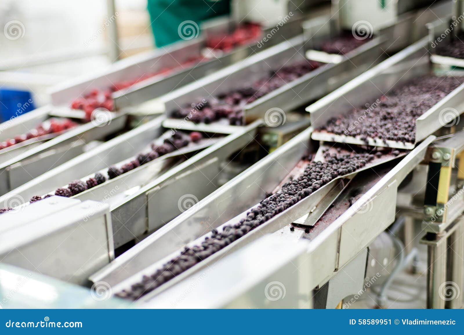 Frozen Raspberry Processing Business Stock Image - Image of ...