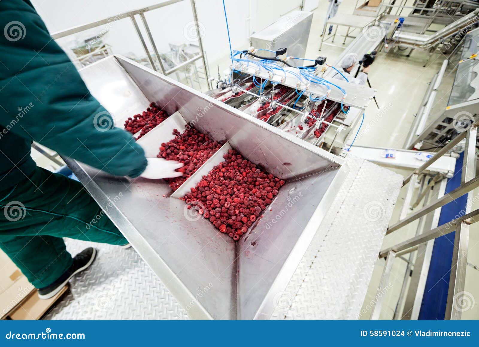 Frozen Raspberry Processing Business Stock Photo - Image of freezer ...