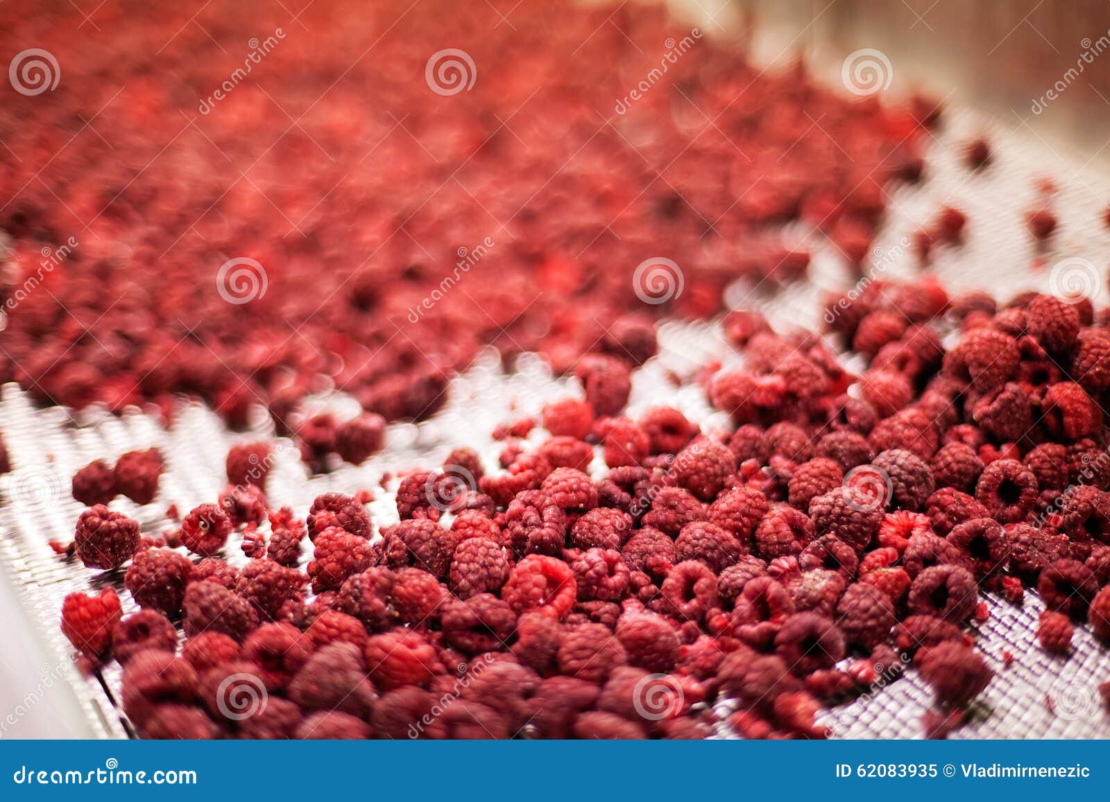 Frozen Raspberry Processing Business Stock Image - Image of isolated ...