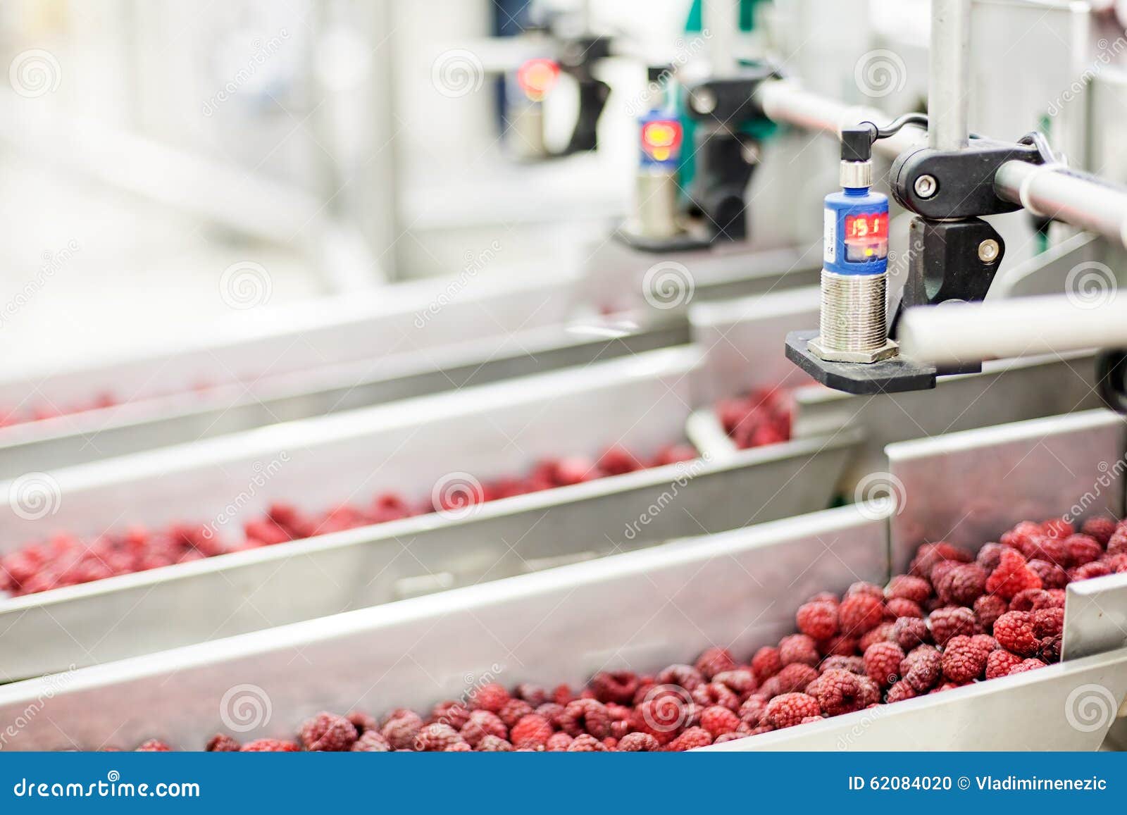 Frozen Raspberry Processing Business Stock Photo - Image of ...