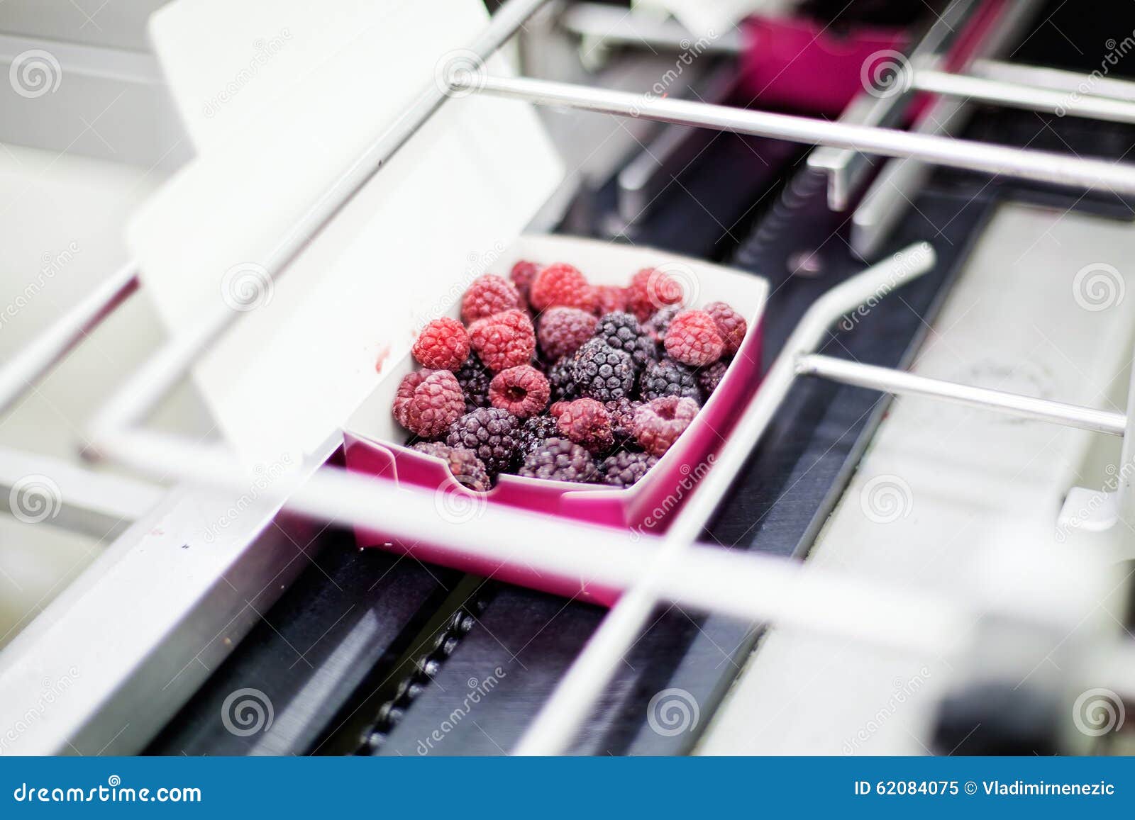 Frozen Raspberry Processing Business Stock Image - Image of packing ...