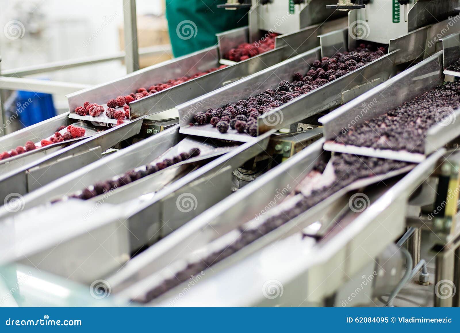 Frozen Raspberry Processing Business Stock Image - Image of color ...