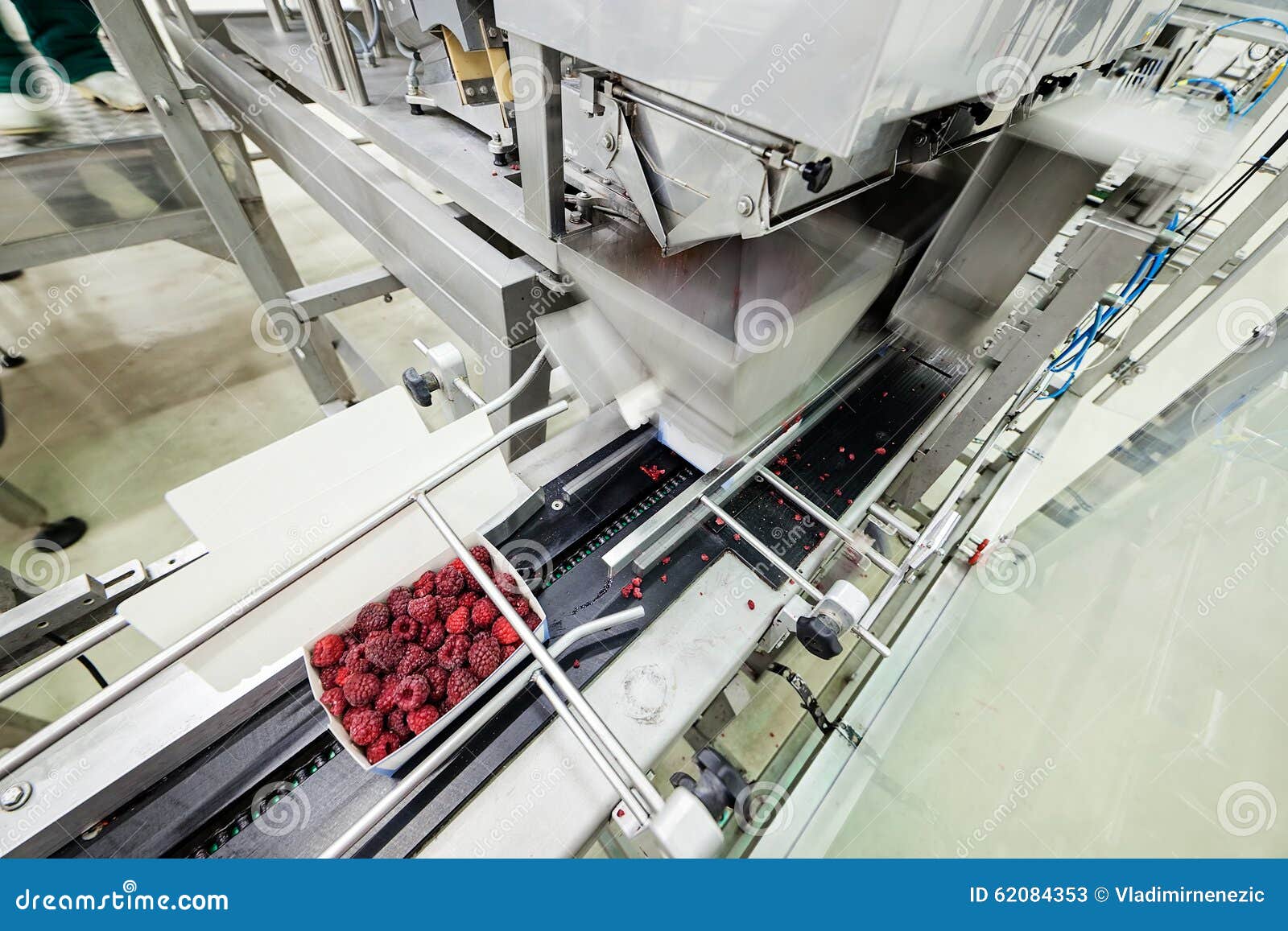 Frozen Raspberry Processing Business Stock Image - Image of harvest ...