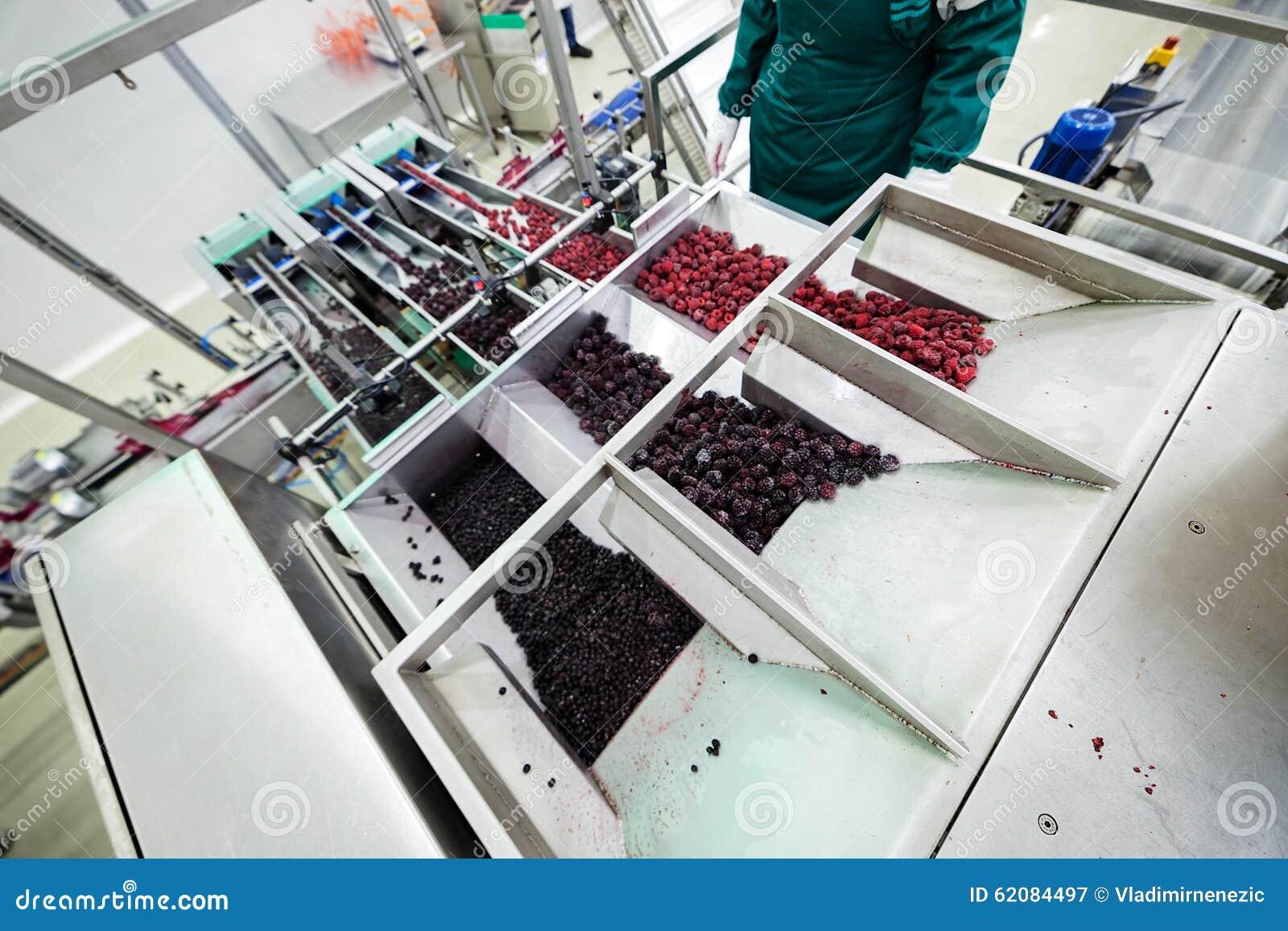 Frozen Raspberry Processing Business Stock Image - Image of nature ...