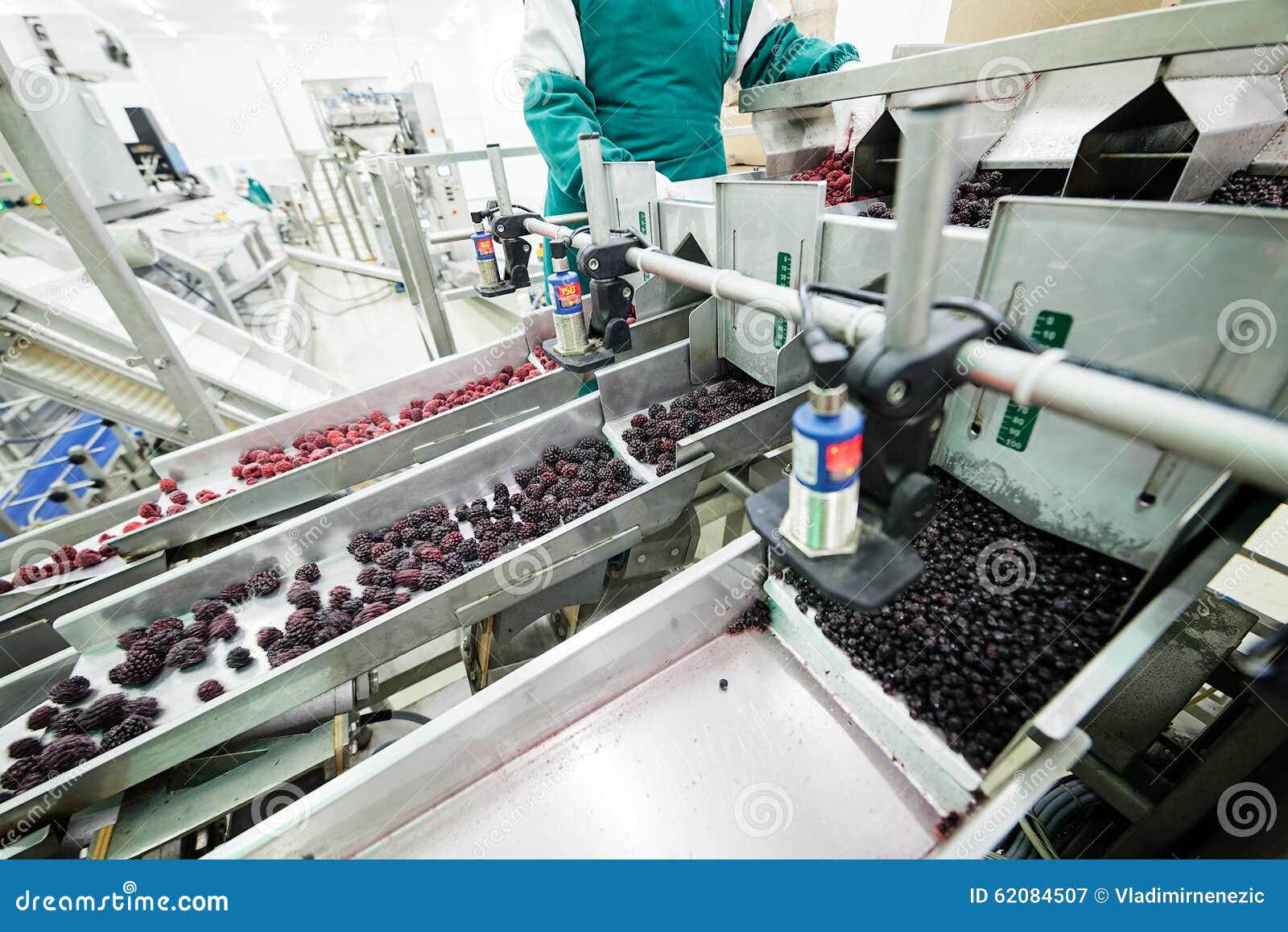 Frozen Raspberry Processing Business Stock Image - Image of plant ...