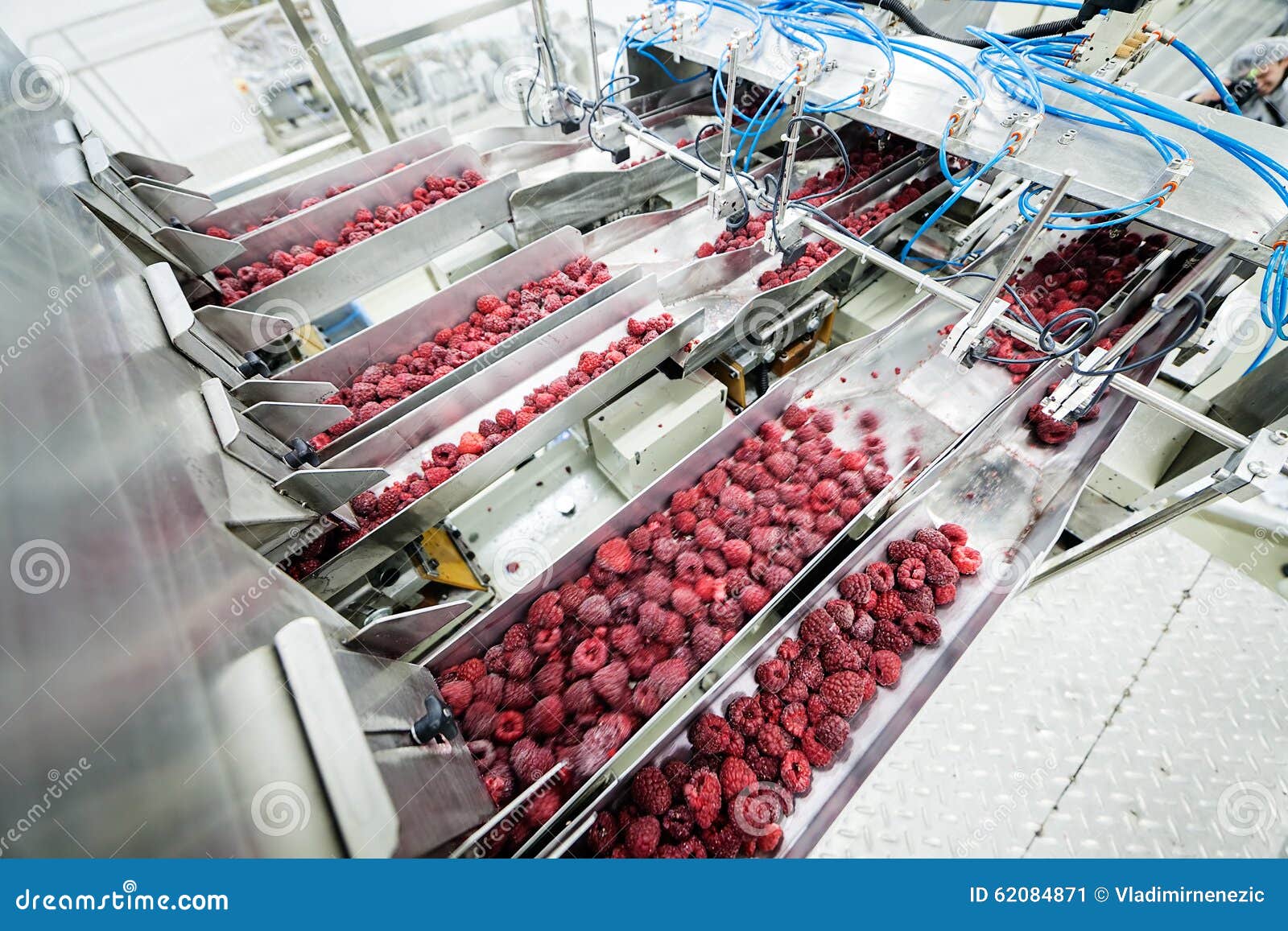 Frozen Raspberry Processing Business Stock Image - Image of delicious, chile: 62084871