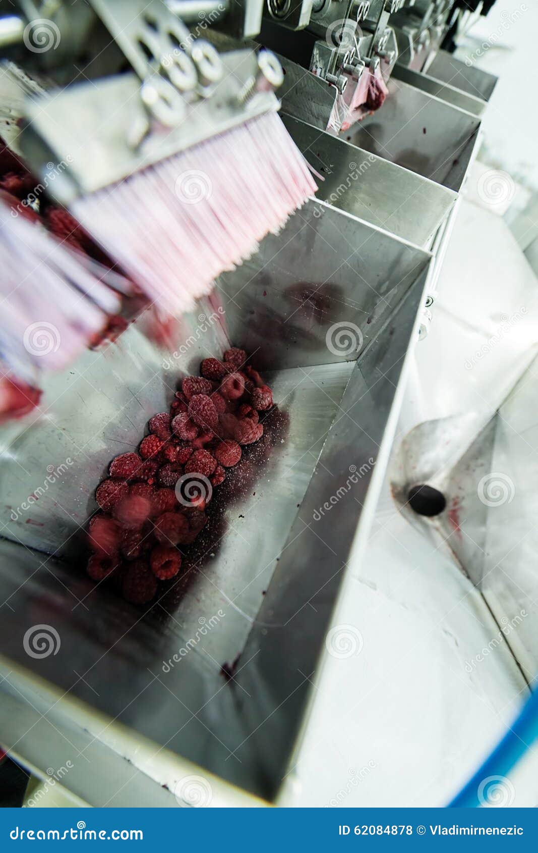 Frozen Raspberry Processing Business Stock Photo - Image of group ...