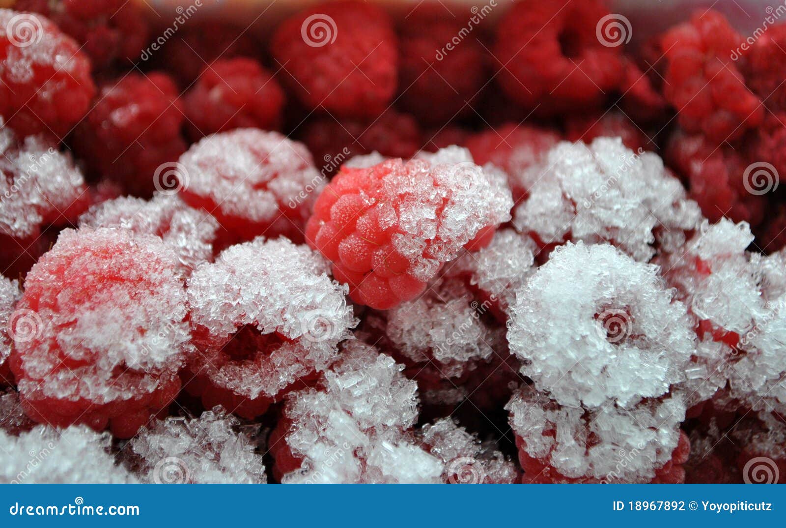 Frozen raspberrys stock photo. Image of artistic, diet - 18967892