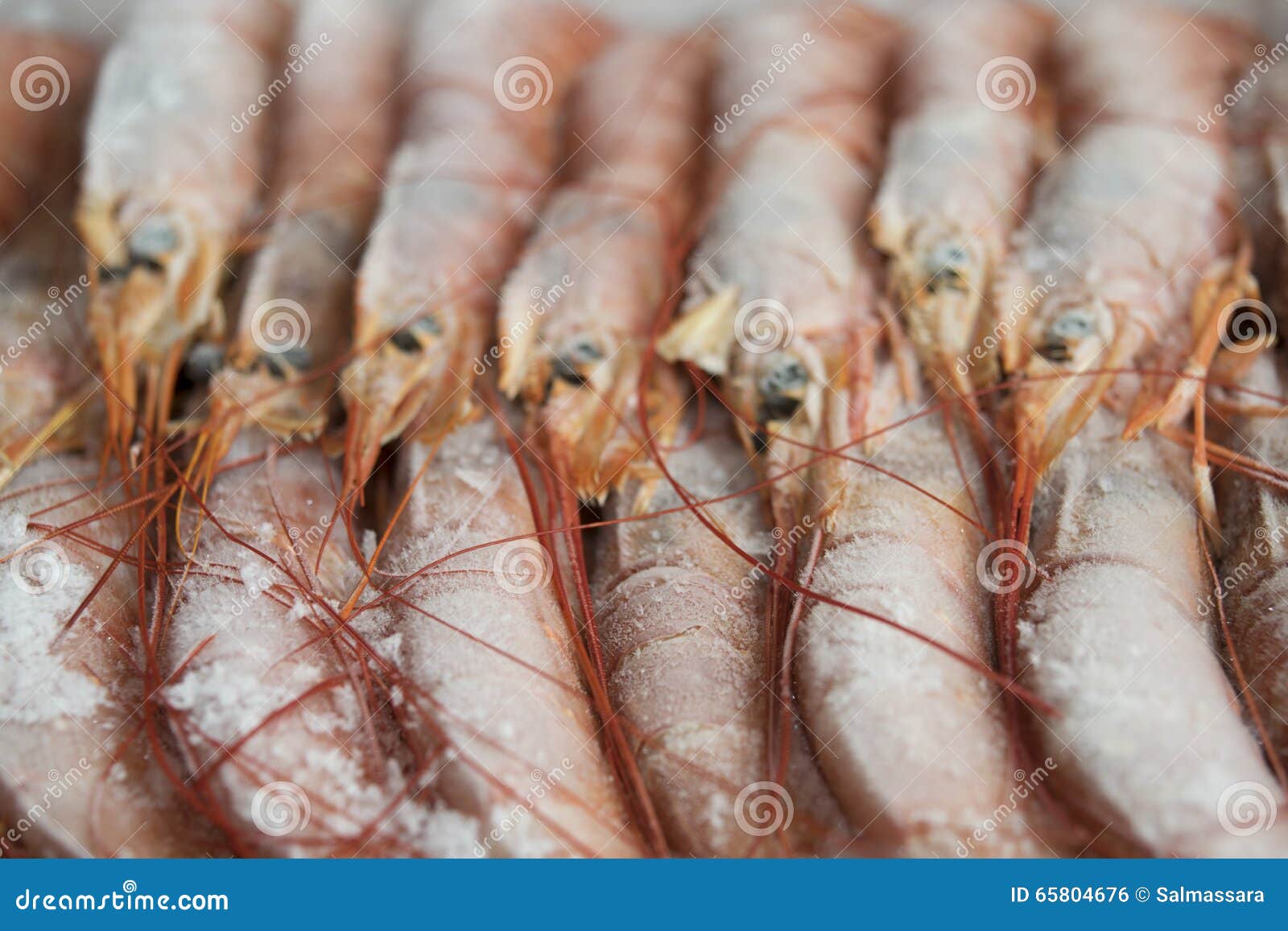 Frozen raw king prawns stock photo. Image of shellfish - 65804676
