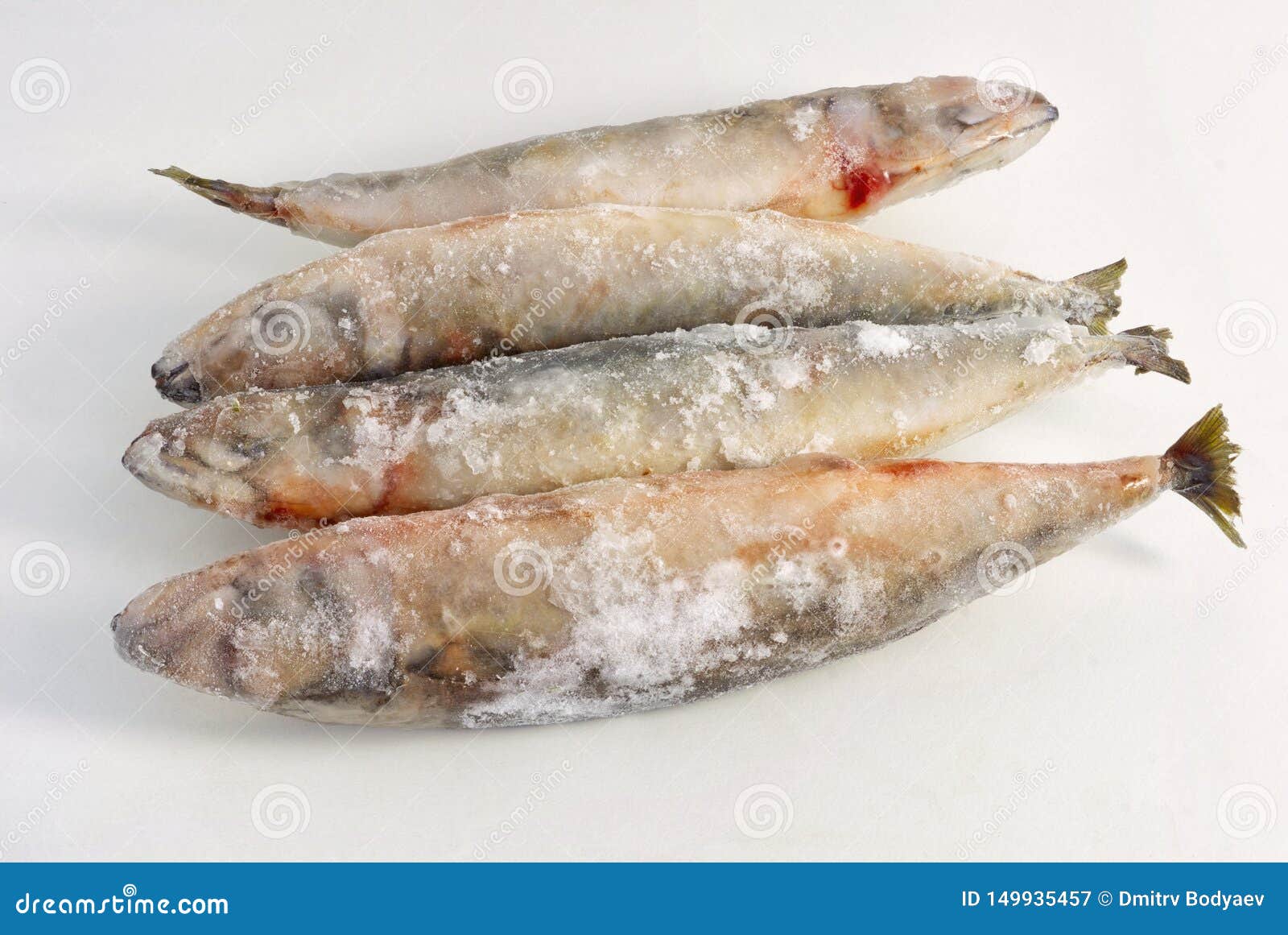 Frozen Raw Oceanic Small Fish Stock Image - Image of market, ocean ...