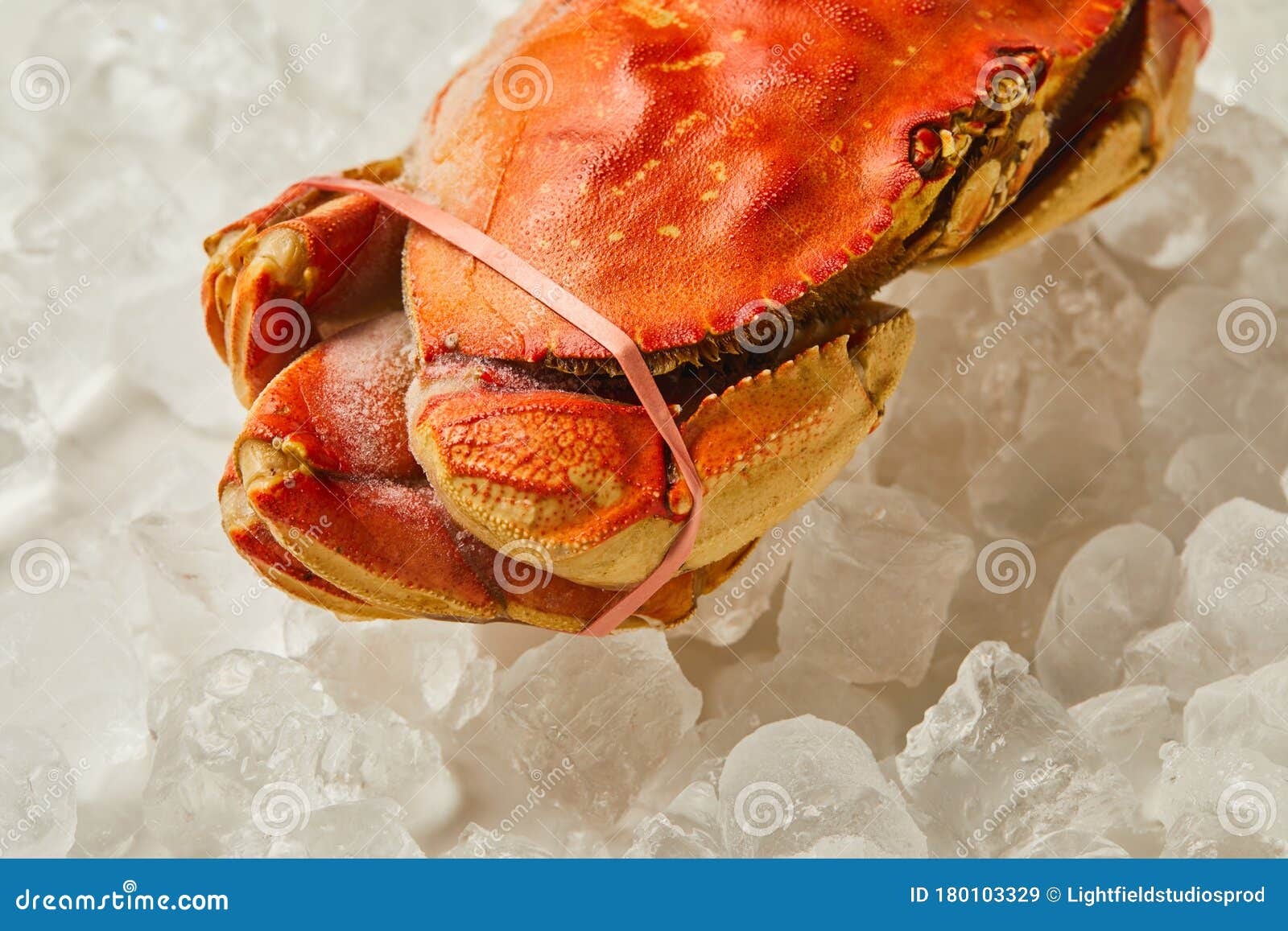 Raw, Uncooked Tied Up Crab on Stock Image - Image of unprocessed, frost ...