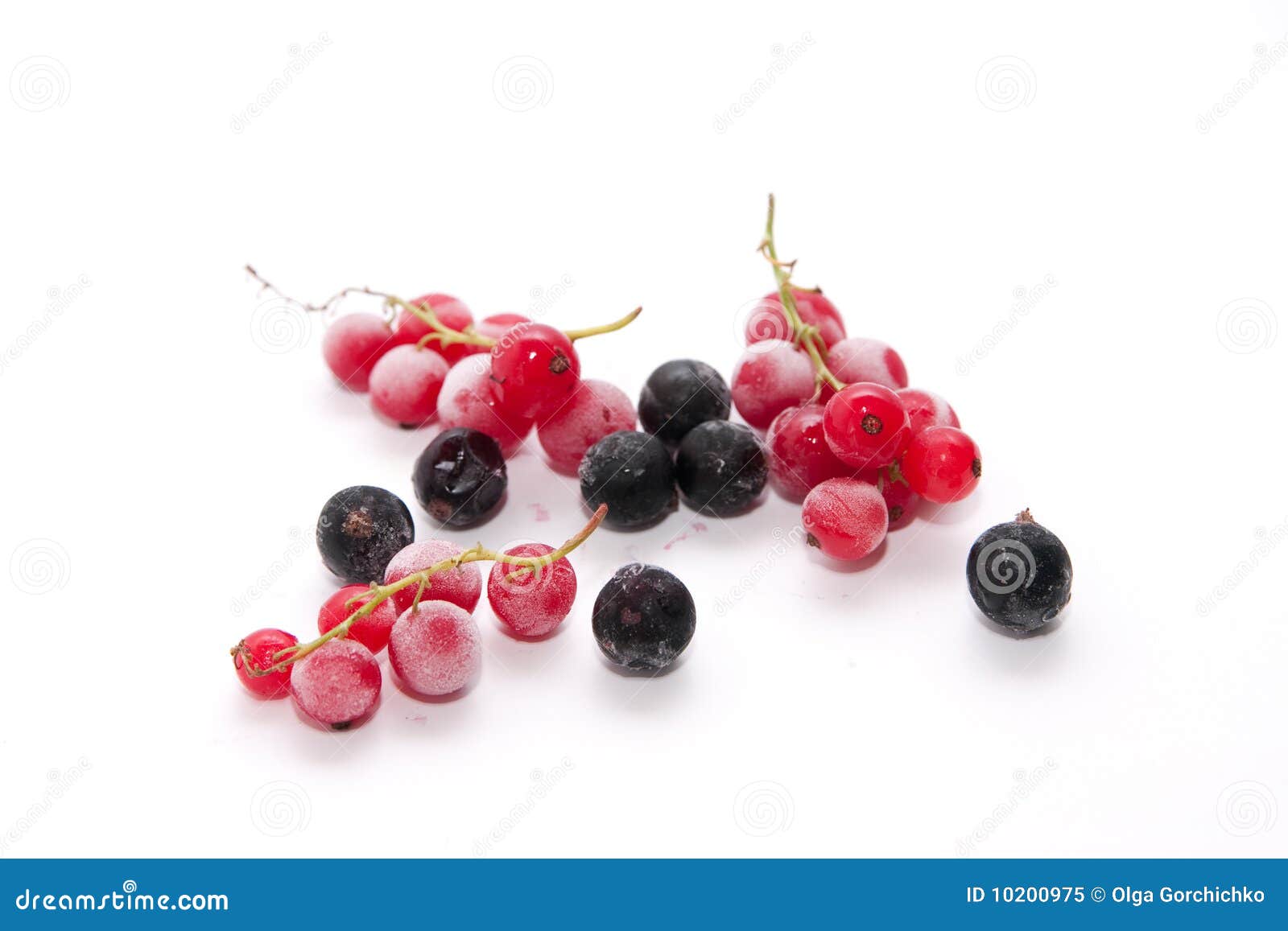Frozen Red And Black Currants Stock Image - Image of food, cool: 10200975