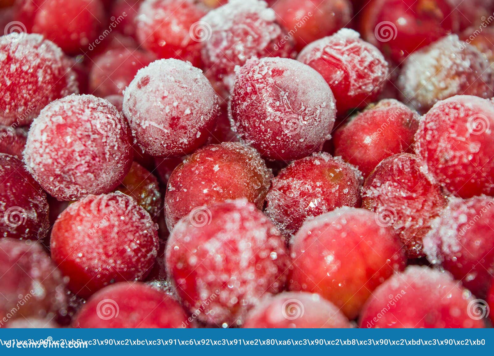 Frozen Red Cherries. Frost-covered Berries. Frost-covered Cherries ...