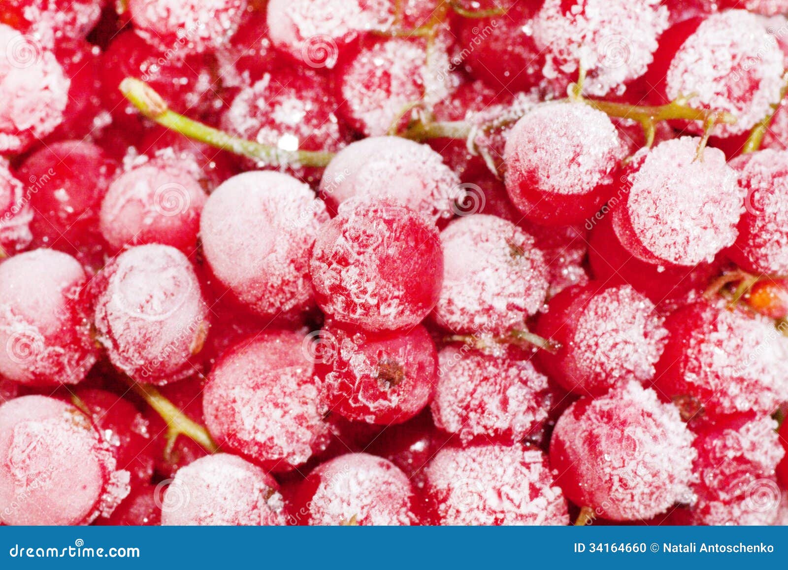 Frozen Red Currant Berries. Stock Photo - Image of ingredient, branch ...