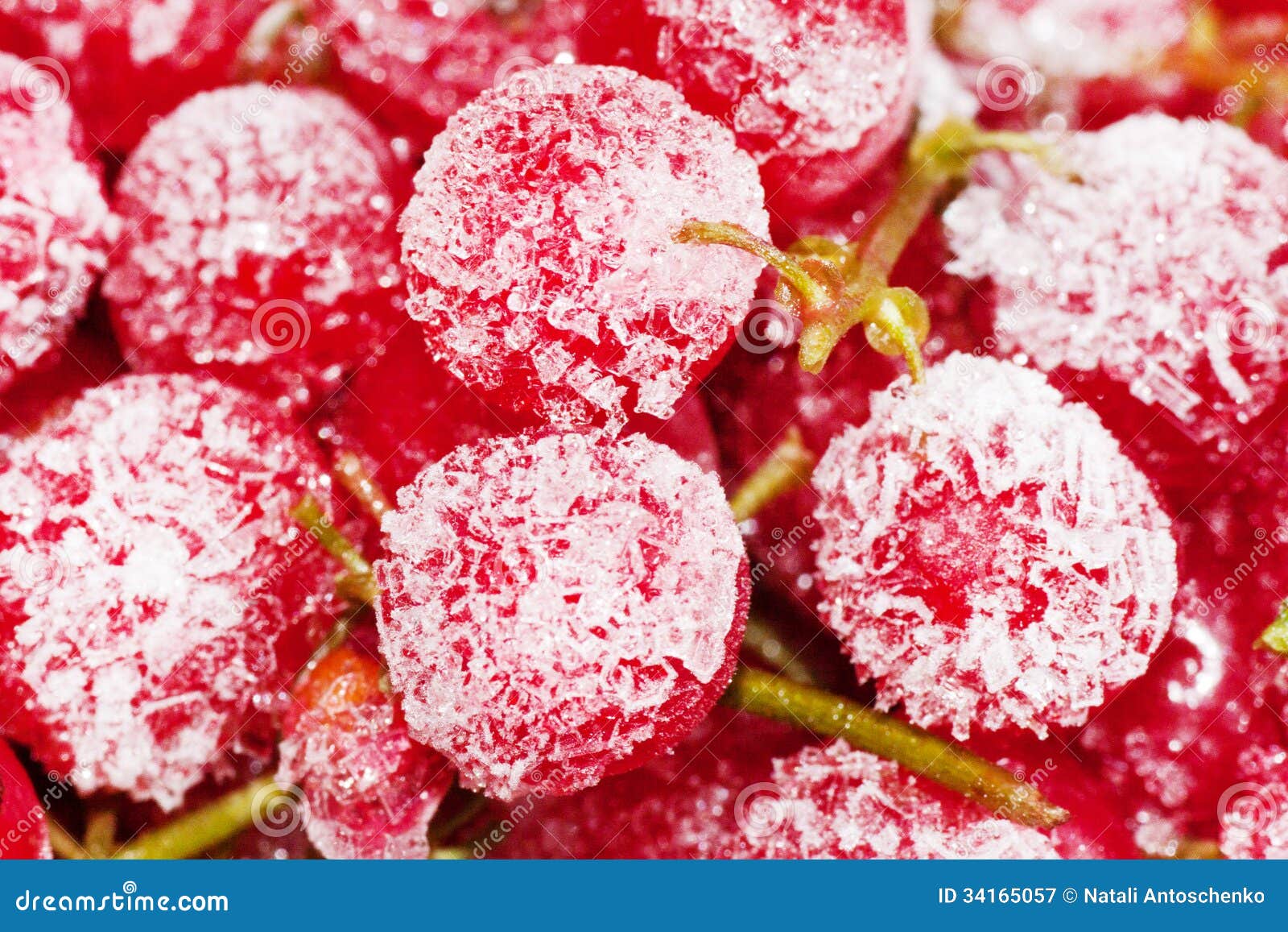 Frozen Red Currant Berries. Stock Image - Image of berry, frost: 34165057