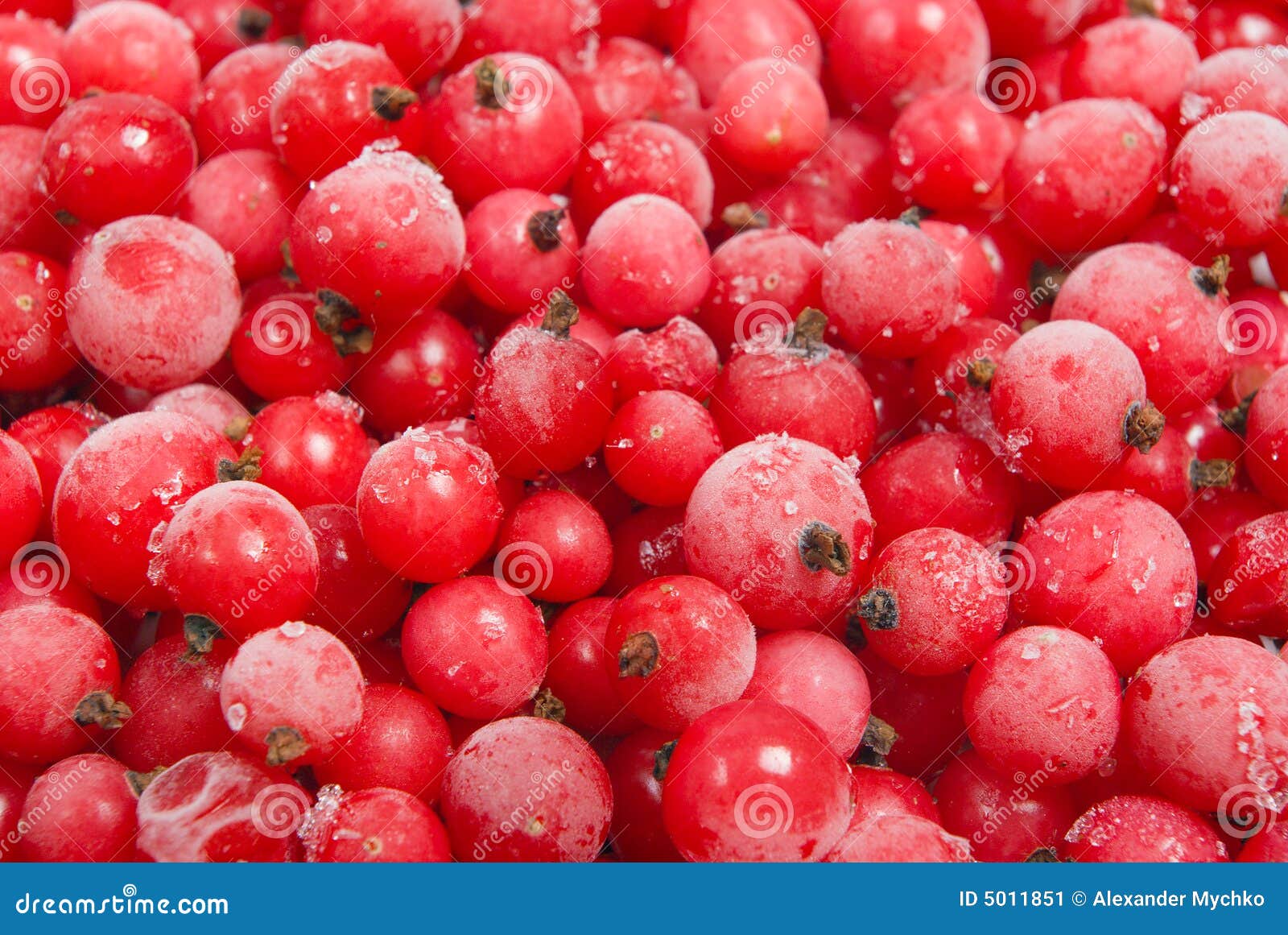 Frozen Red Currant. Close-up Stock Image - Image of berry, meal: 5011851