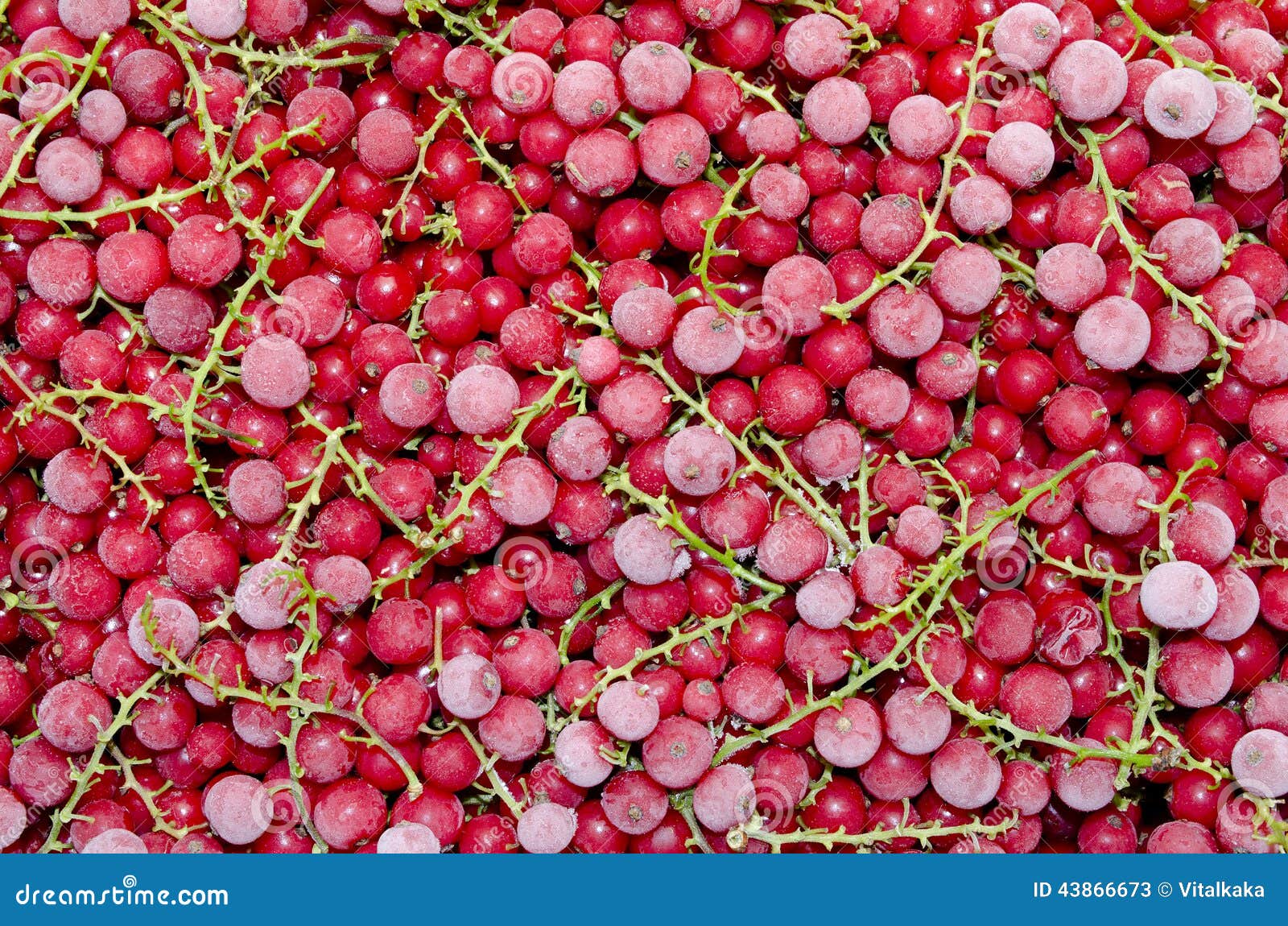 Frozen red currant stock image. Image of ripe, cold, taste - 43866673