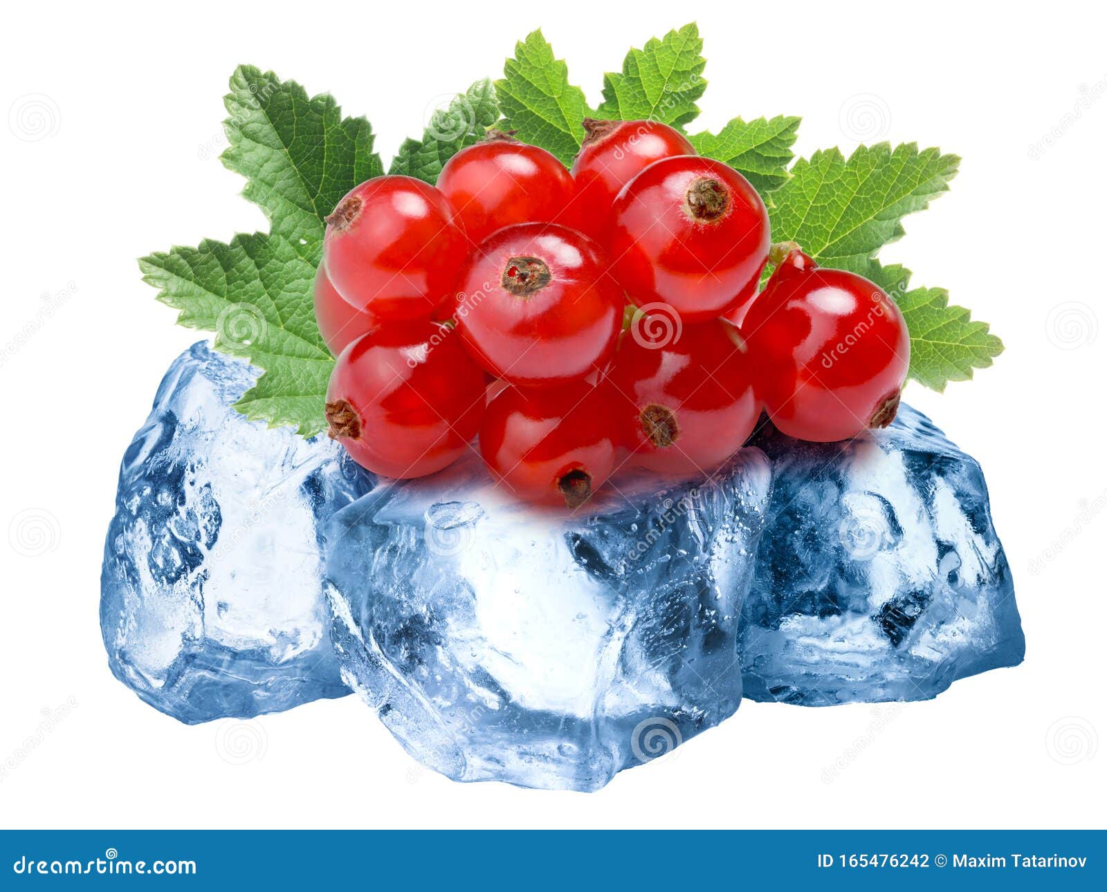 Frozen Red Currant Isolated, Paths Stock Photo - Image of rough, white ...
