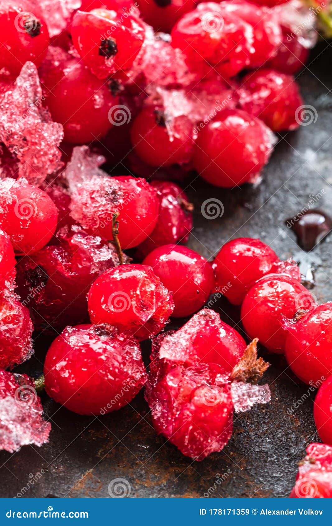 Frozen Red Currants Closeup Pile Lie on a Rusty Surface. Vertical Stock ...