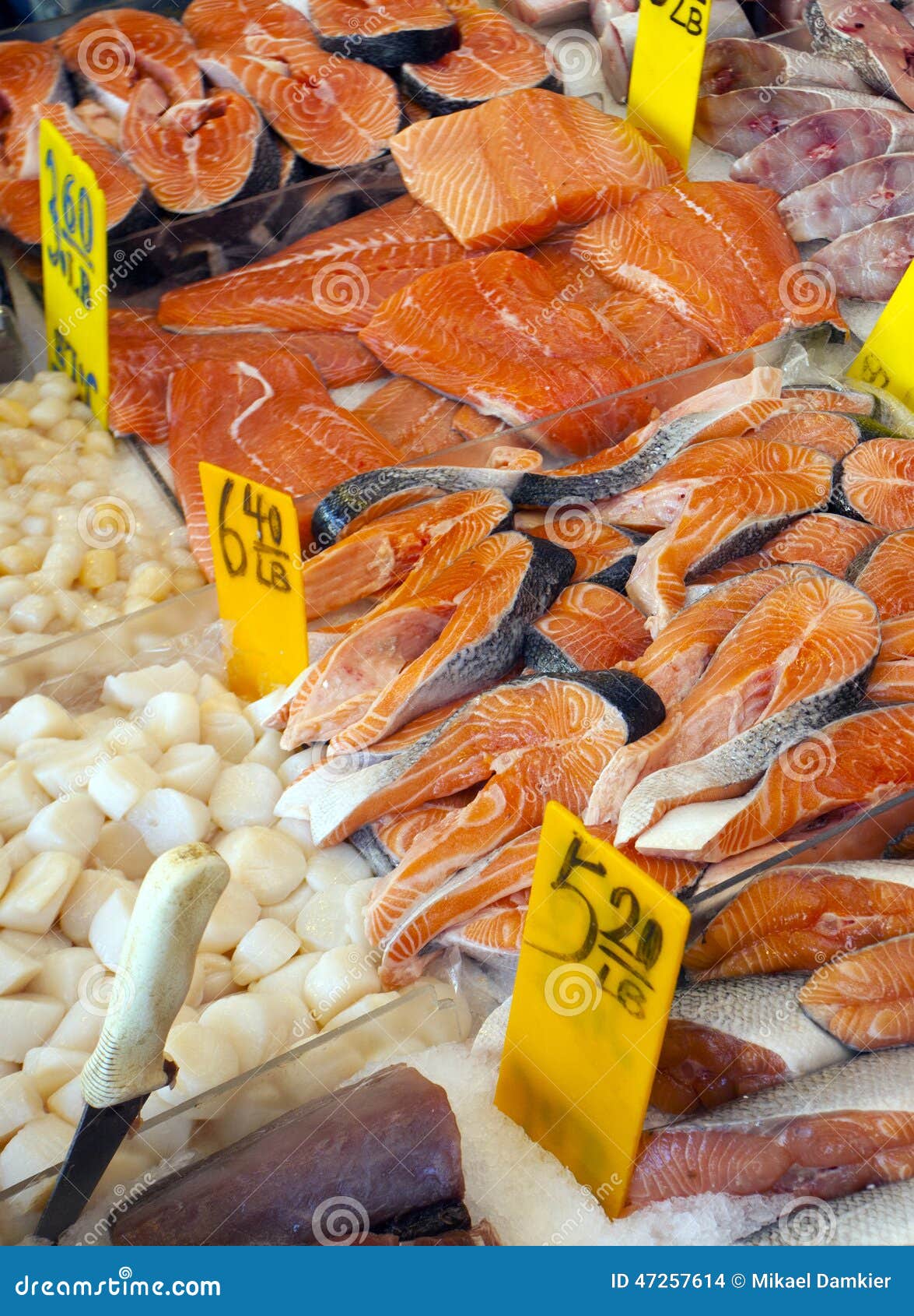 Frozen red fish steaks stock photo. Image of eating, steak - 47257614