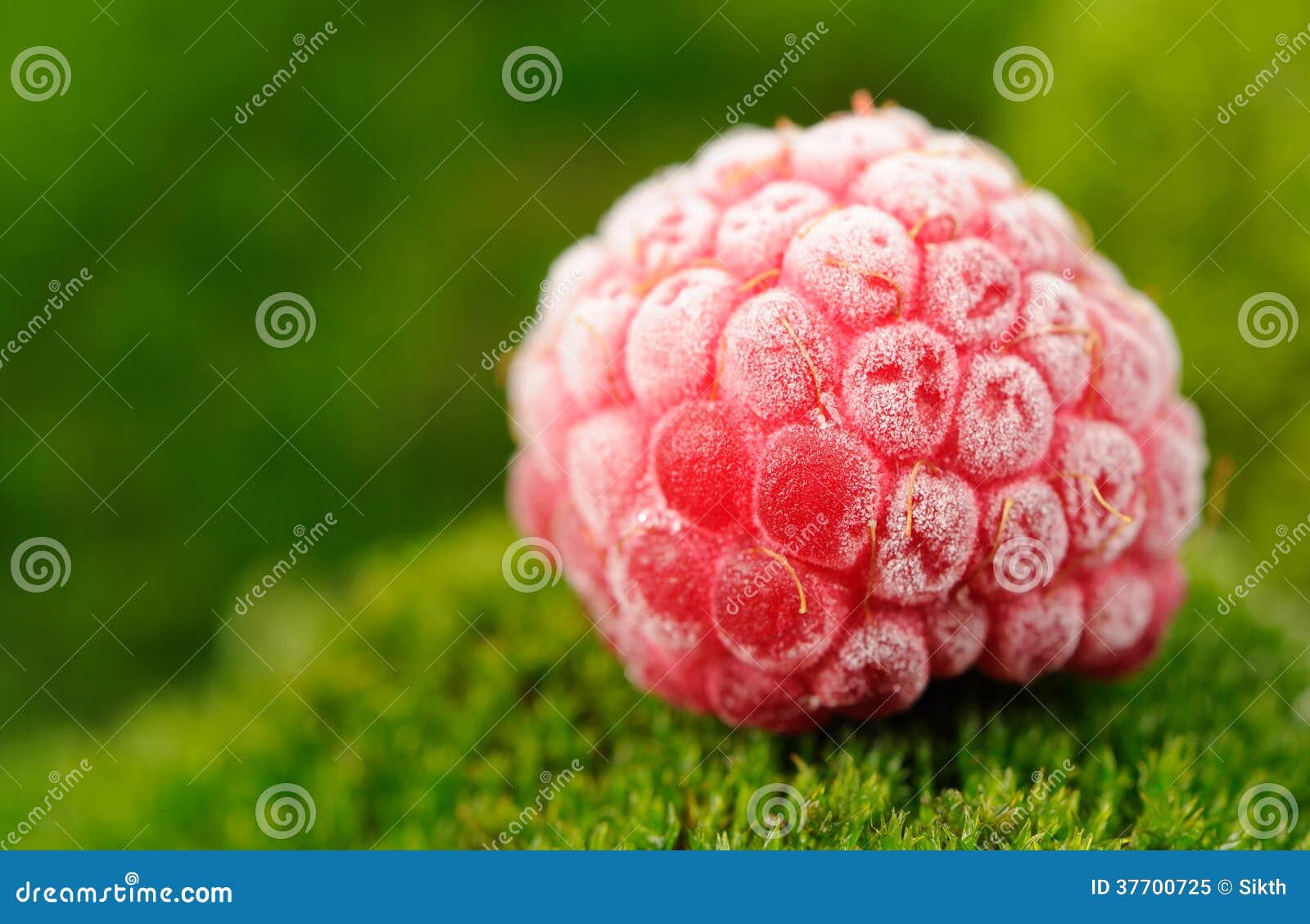 Raspberry Green Leaves Close Up. Summer Background Stock Photography ...