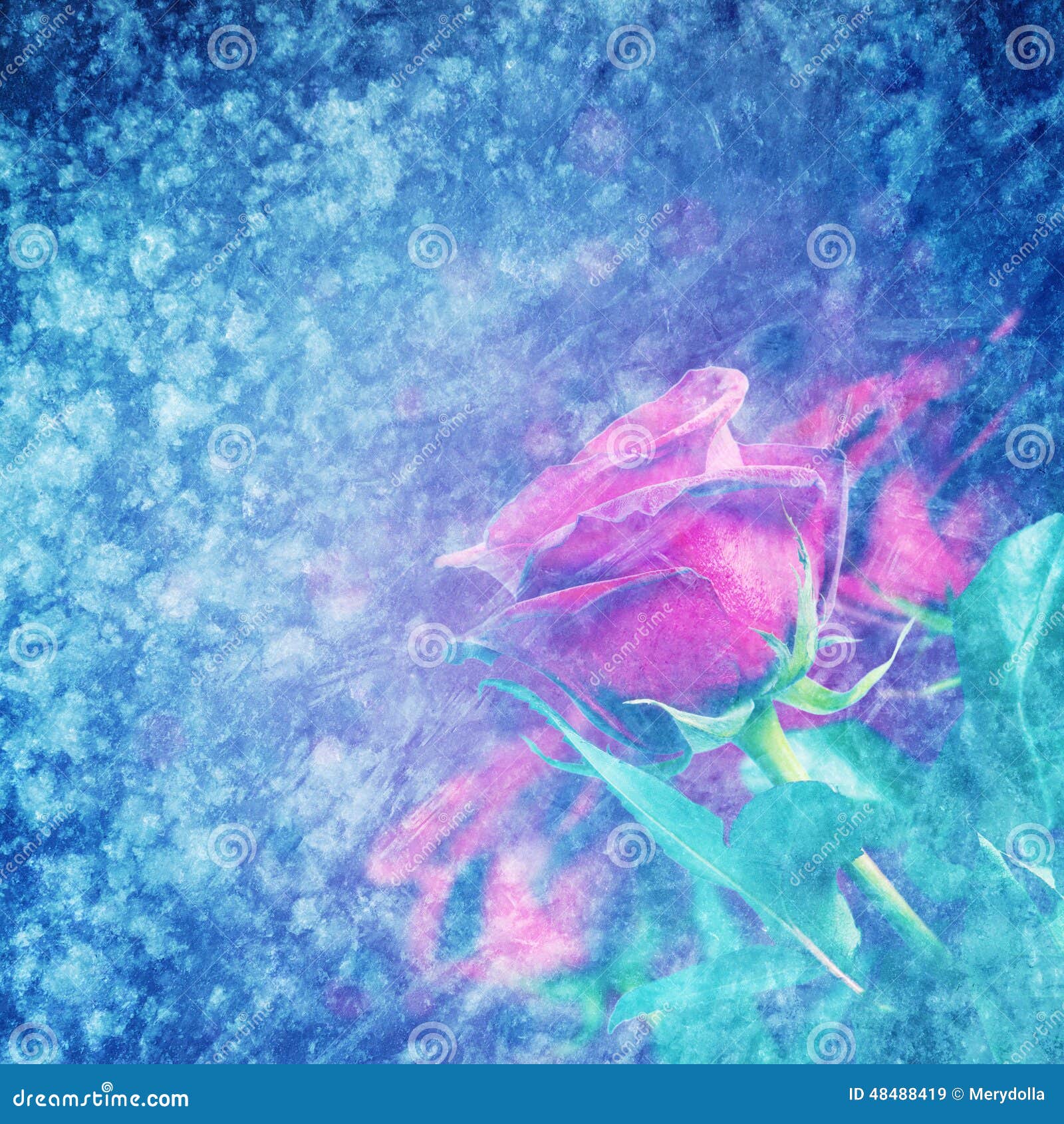 Frozen red roses stock illustration. Illustration of love - 48488419